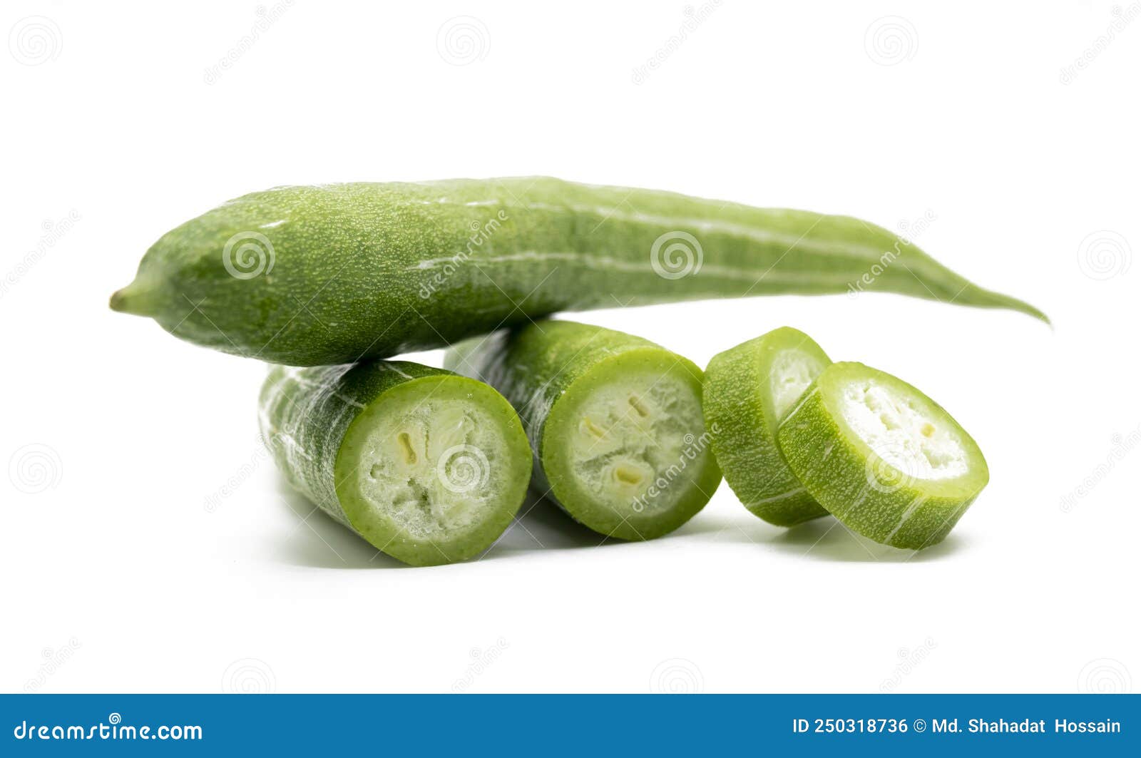 Whole and Slices Fresh Snake Gourd Isolated on White Background Stock ...