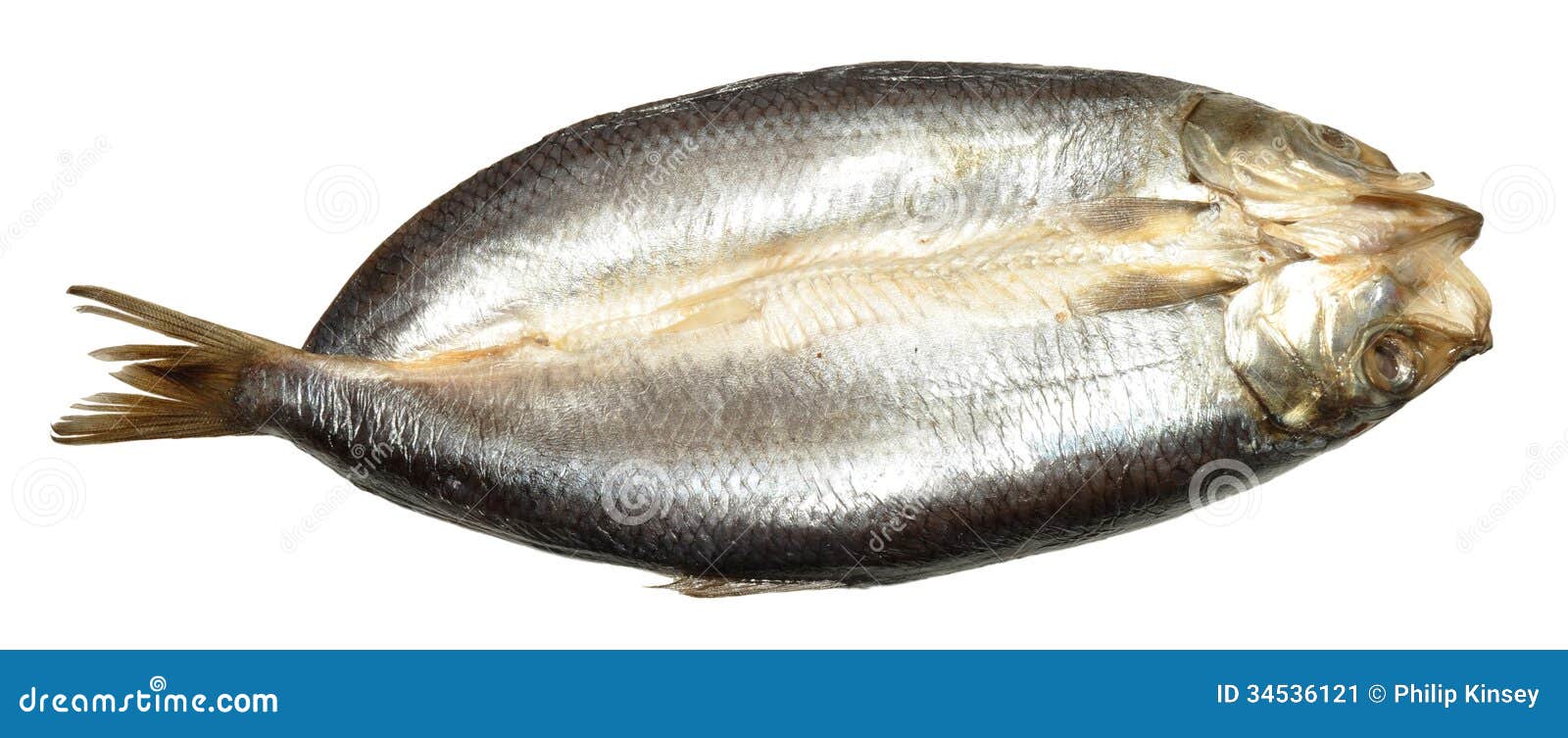 Whole Split Kipper stock image. Image of kipper, united - 34536121