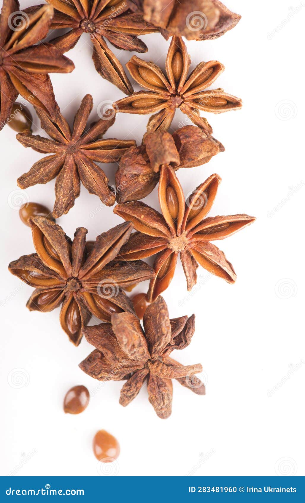 Whole Star Anise Isolated on White Background Stock Photo - Image of ...