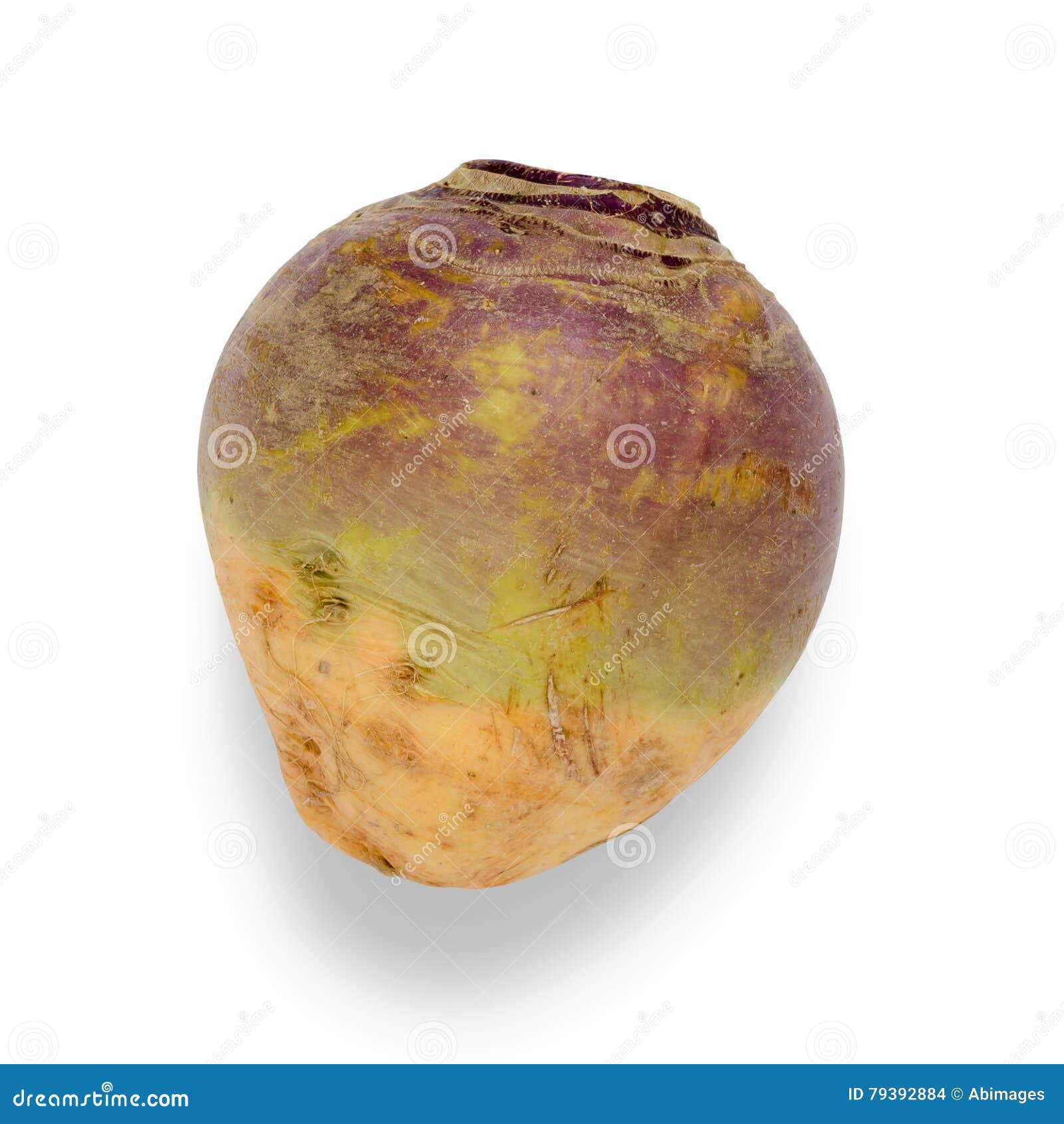 Whole Swede stock photo. Image of path, food, isolated - 79392884