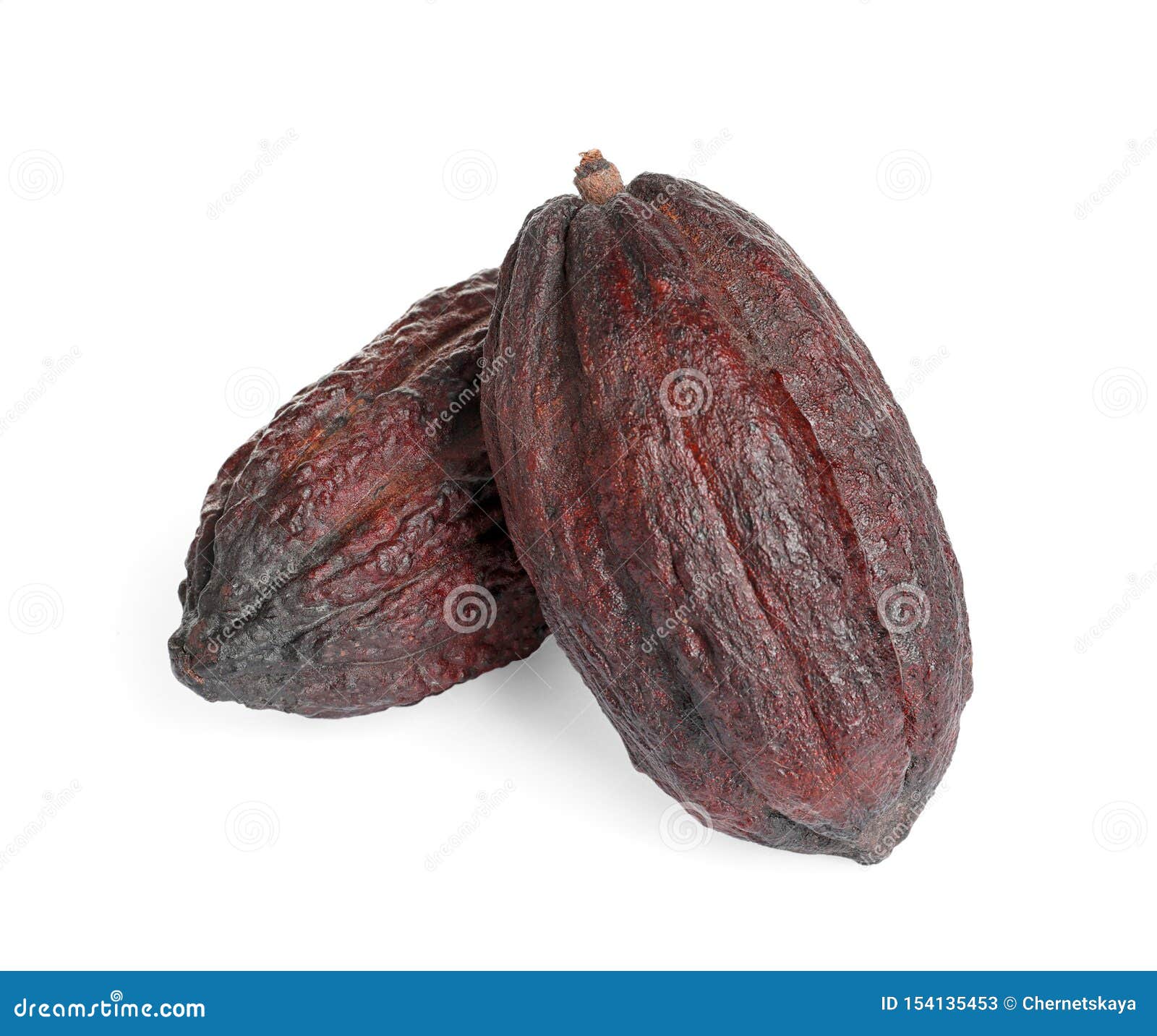 Whole Tropical Cocoa Pods Isolated on Stock Image - Image of aroma ...