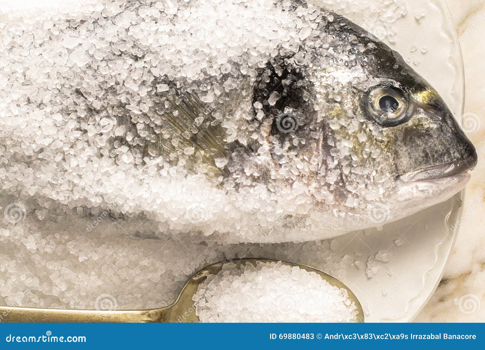 Whole uncooked fish stock image. Image of freshness, background - 69880483