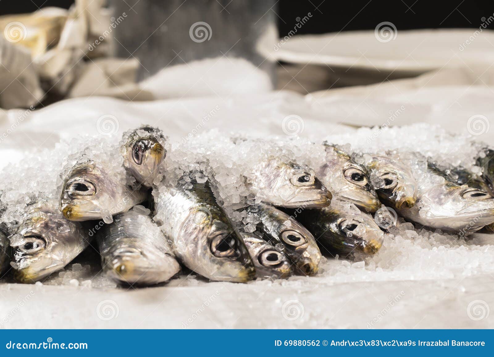 Whole uncooked fish stock photo. Image of white, isolated - 69880562