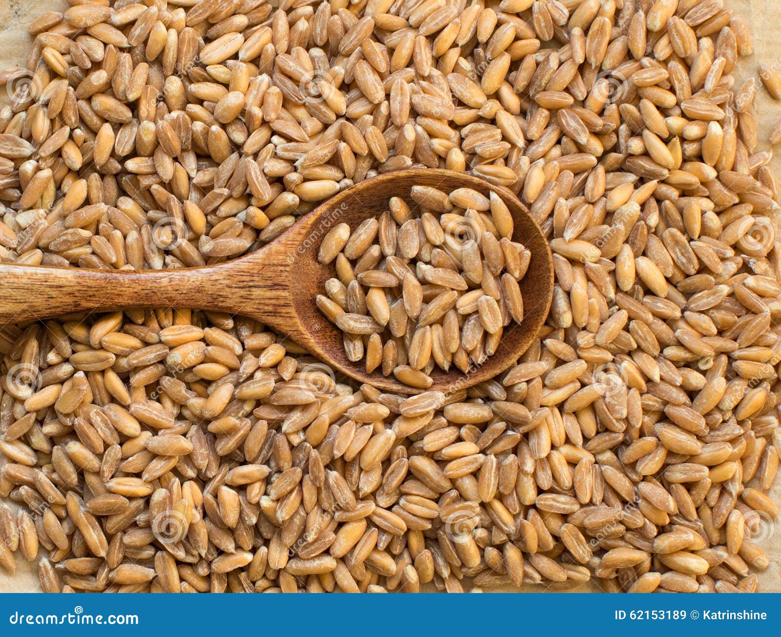 Whole Unpolished Spelt with a Spoon Stock Image - Image of cereal ...