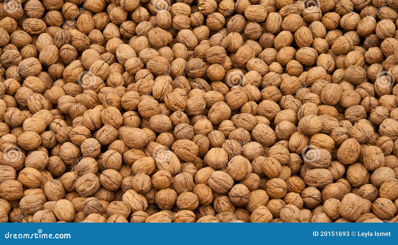 Whole Walnut Background stock image. Image of organic - 20151693