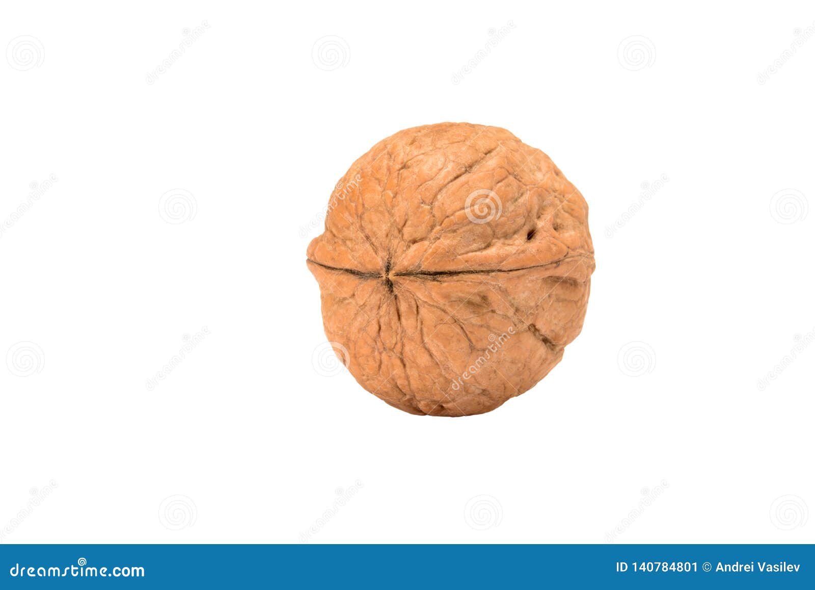 Whole Walnut, Close Up Macro Center View, Isolated on White Background ...