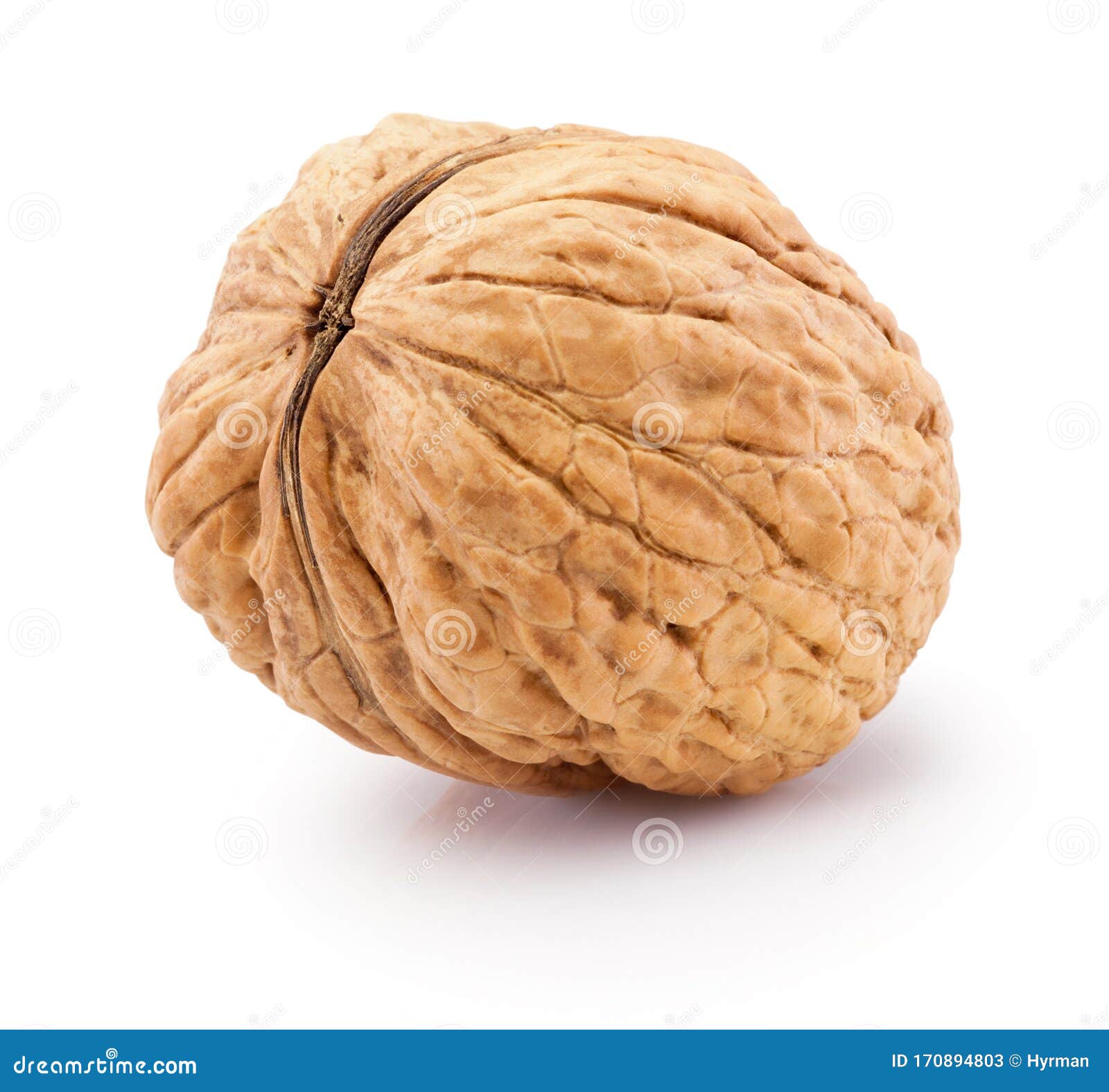 Whole Walnut On The Table. Texture Royalty-Free Stock Photo ...