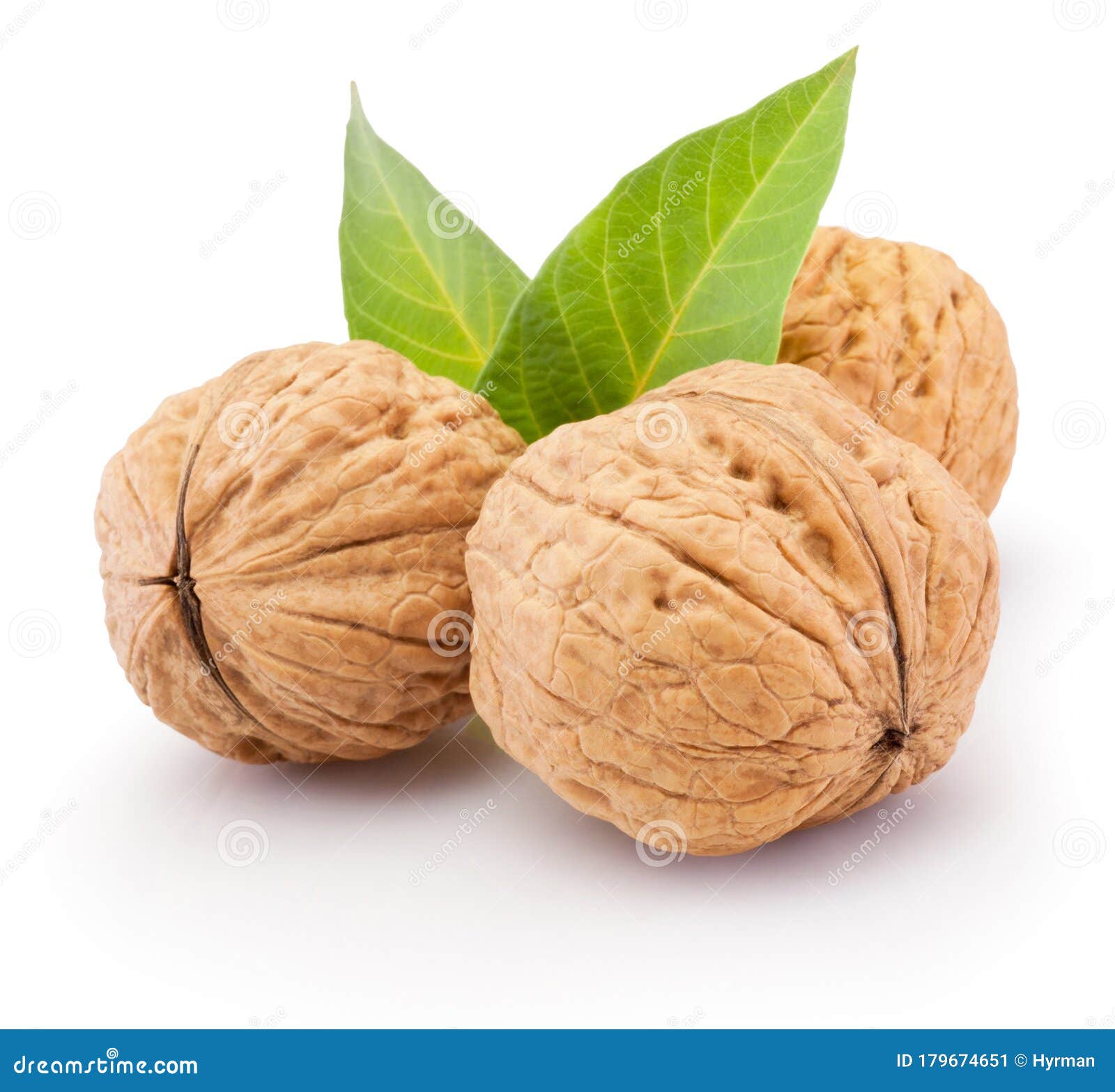Whole Walnut Royalty-Free Stock Image | CartoonDealer.com #27748144