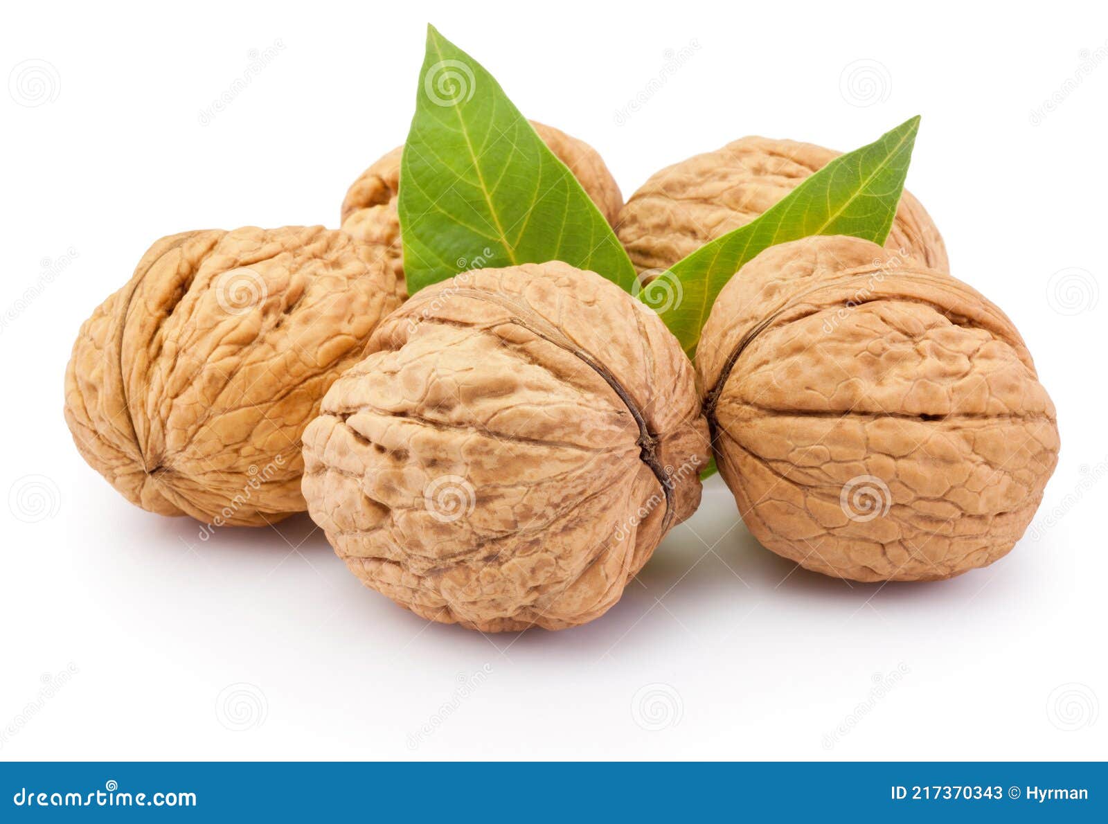 Whole Walnut Isolated On White Background Royalty-Free Stock Image ...