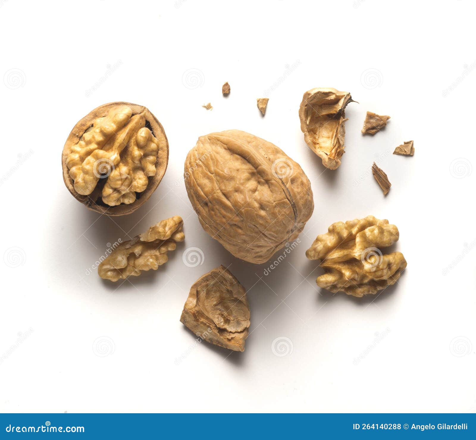Whole Walnut Plus Open Walnut with Scattered Shell Parts on White ...