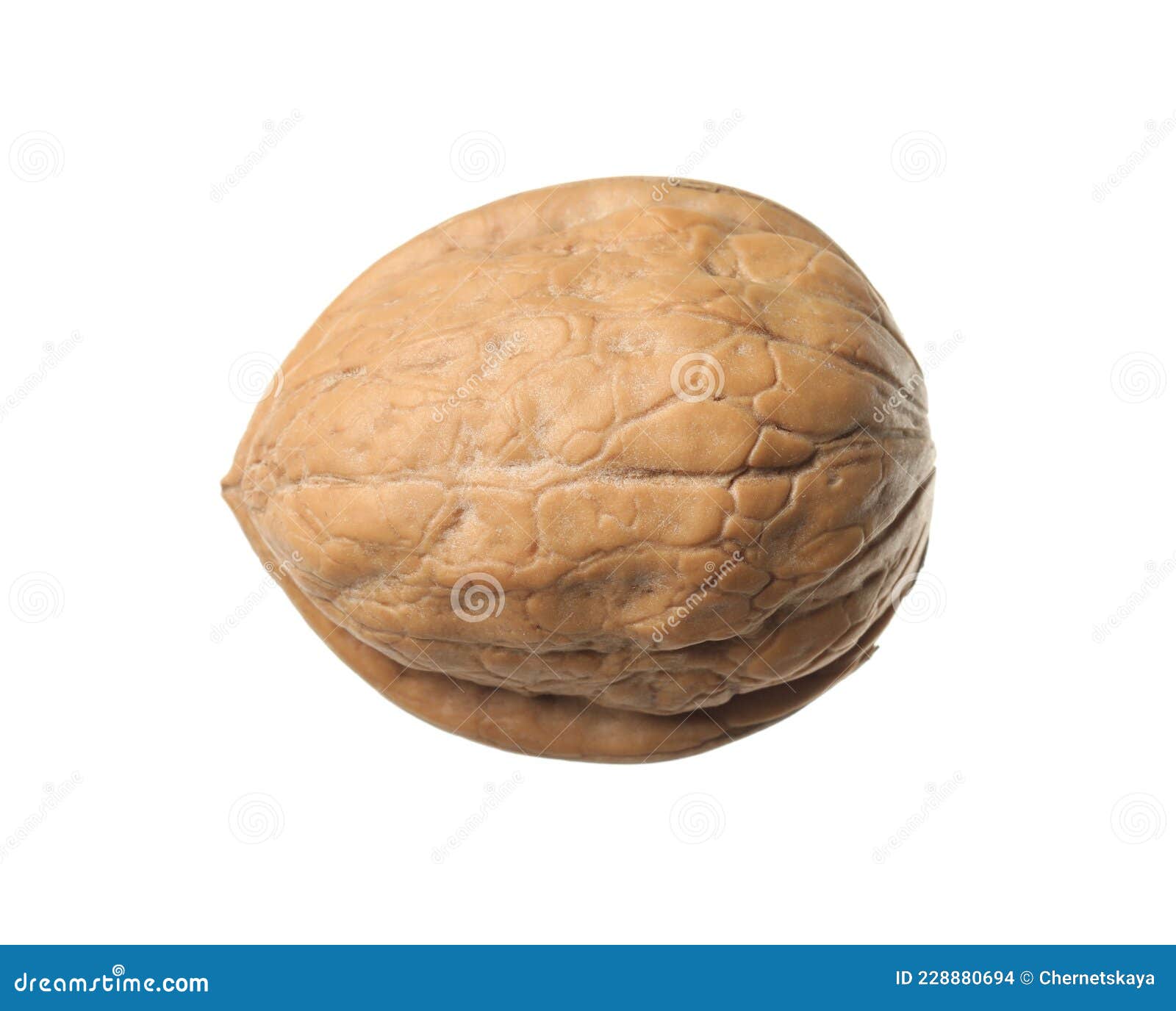 Whole Walnut in Shell Isolated on White Stock Photo - Image of meal ...