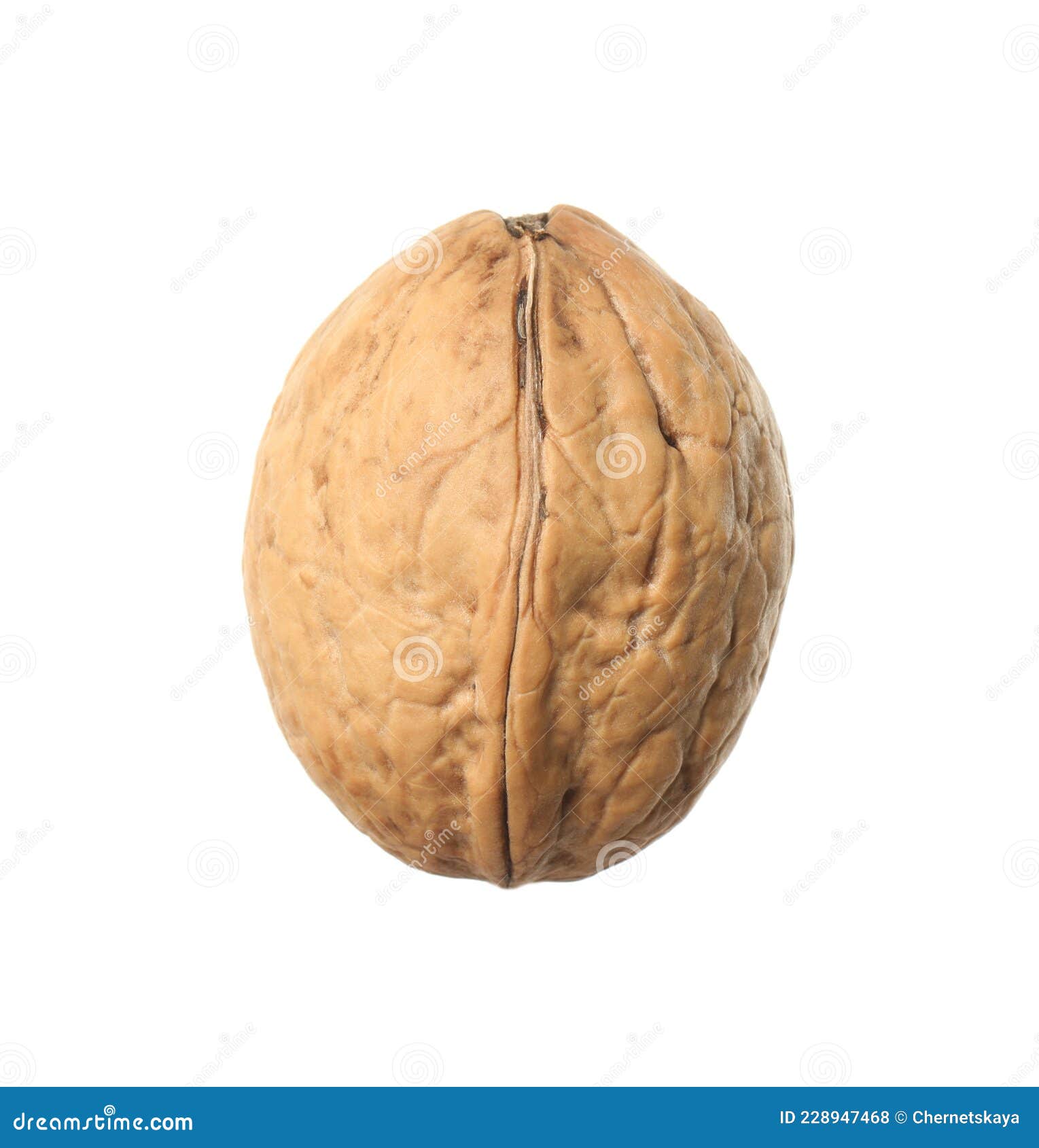 Whole Walnut in Shell Isolated on White Stock Photo - Image of organic ...