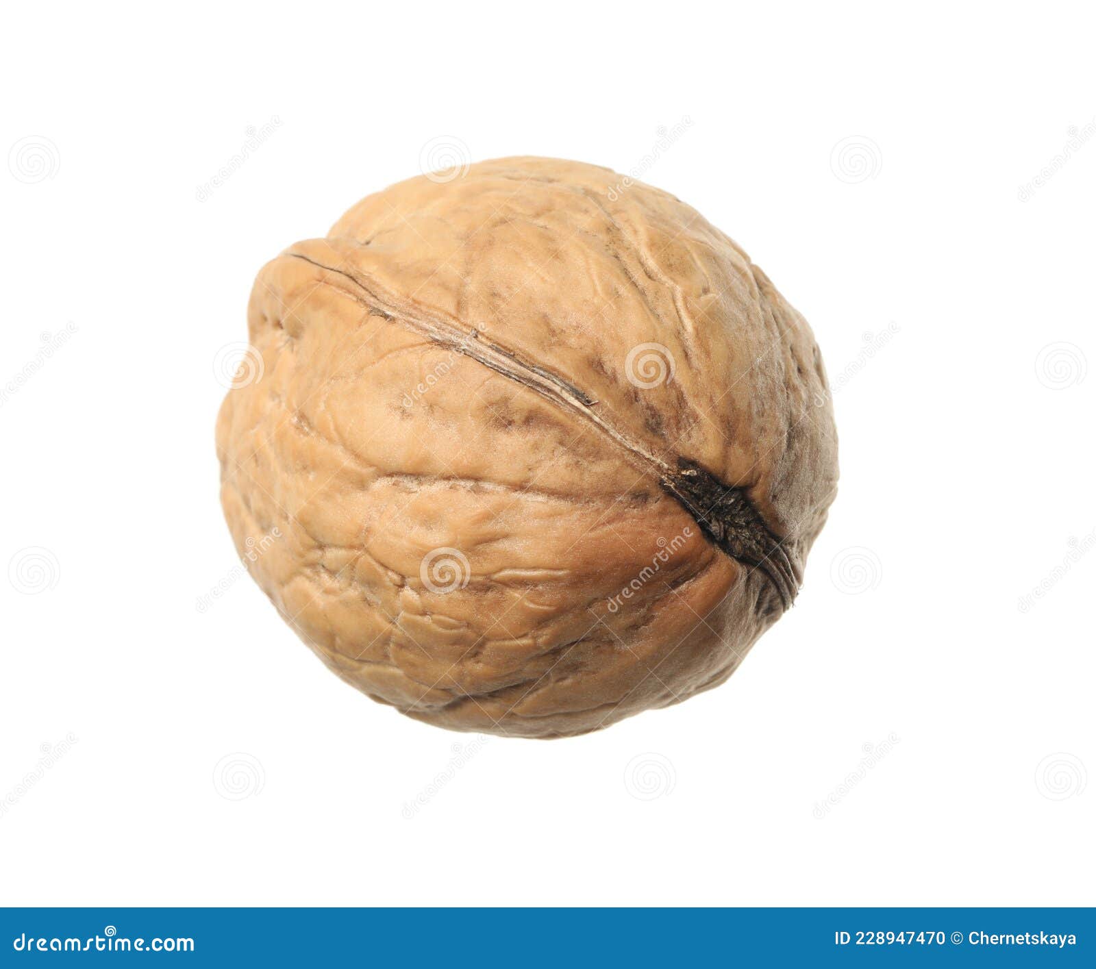 Whole Walnut in Shell Isolated on White Stock Photo - Image of meal ...