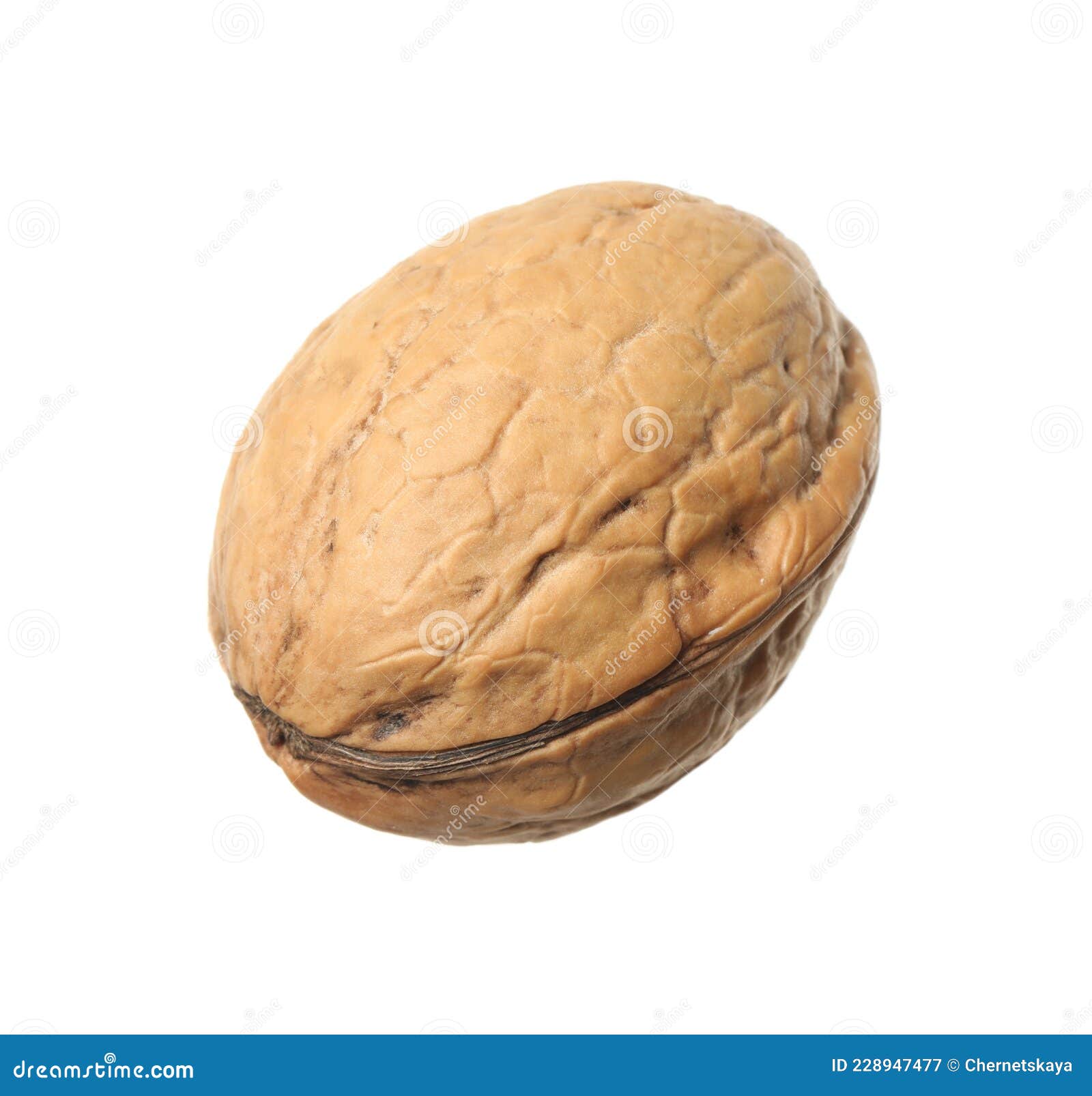 Whole Walnut in Shell Isolated on White Stock Image - Image of ...