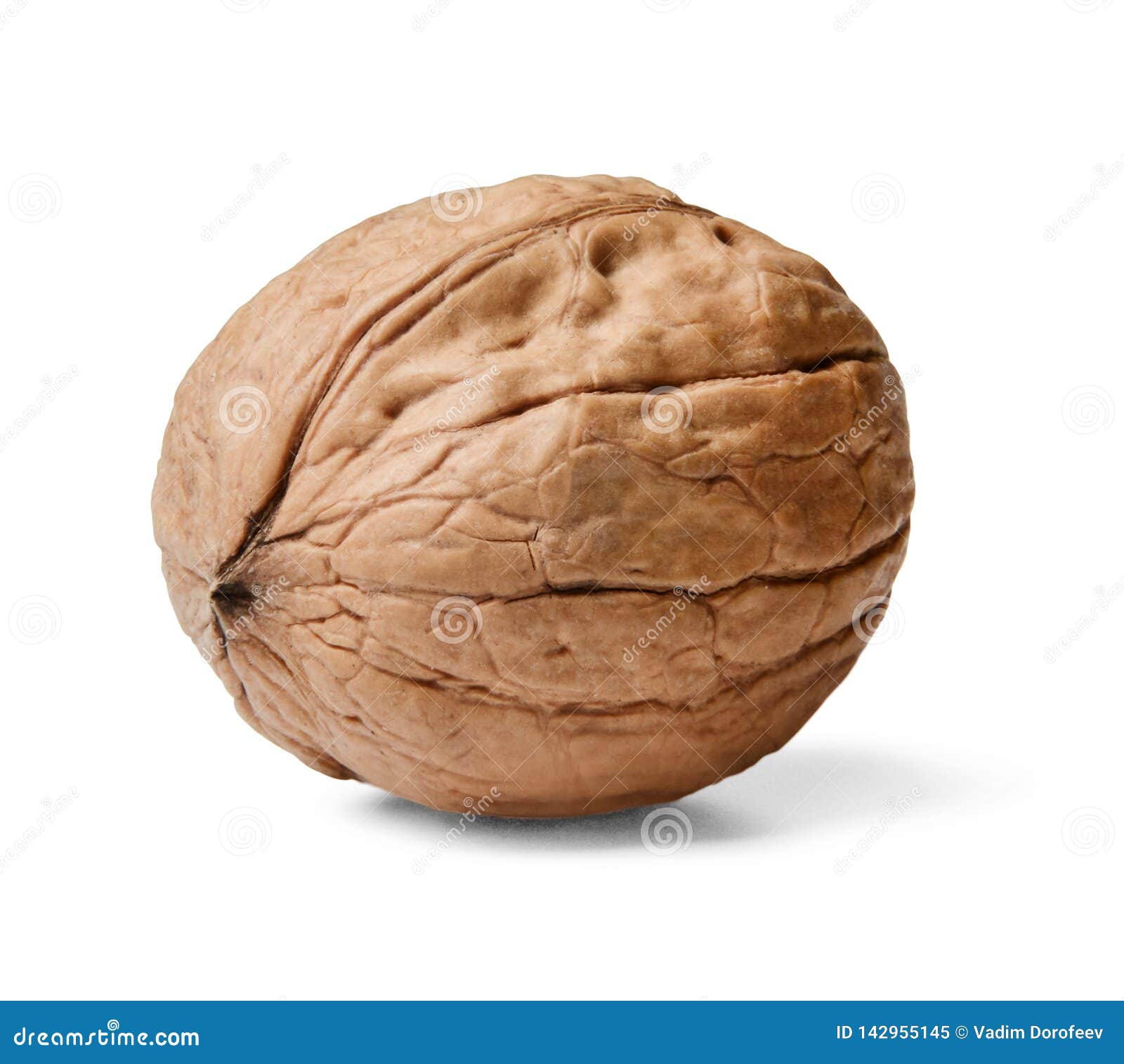 Whole Walnut in Shell. White Background. Macro. Side View. Stock Image ...