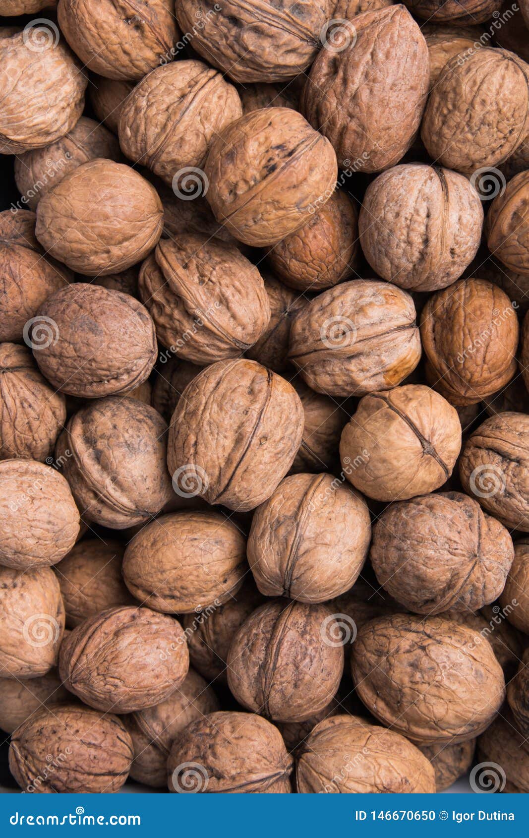 Whole walnut shells stock photo. Image of photograph - 146670650