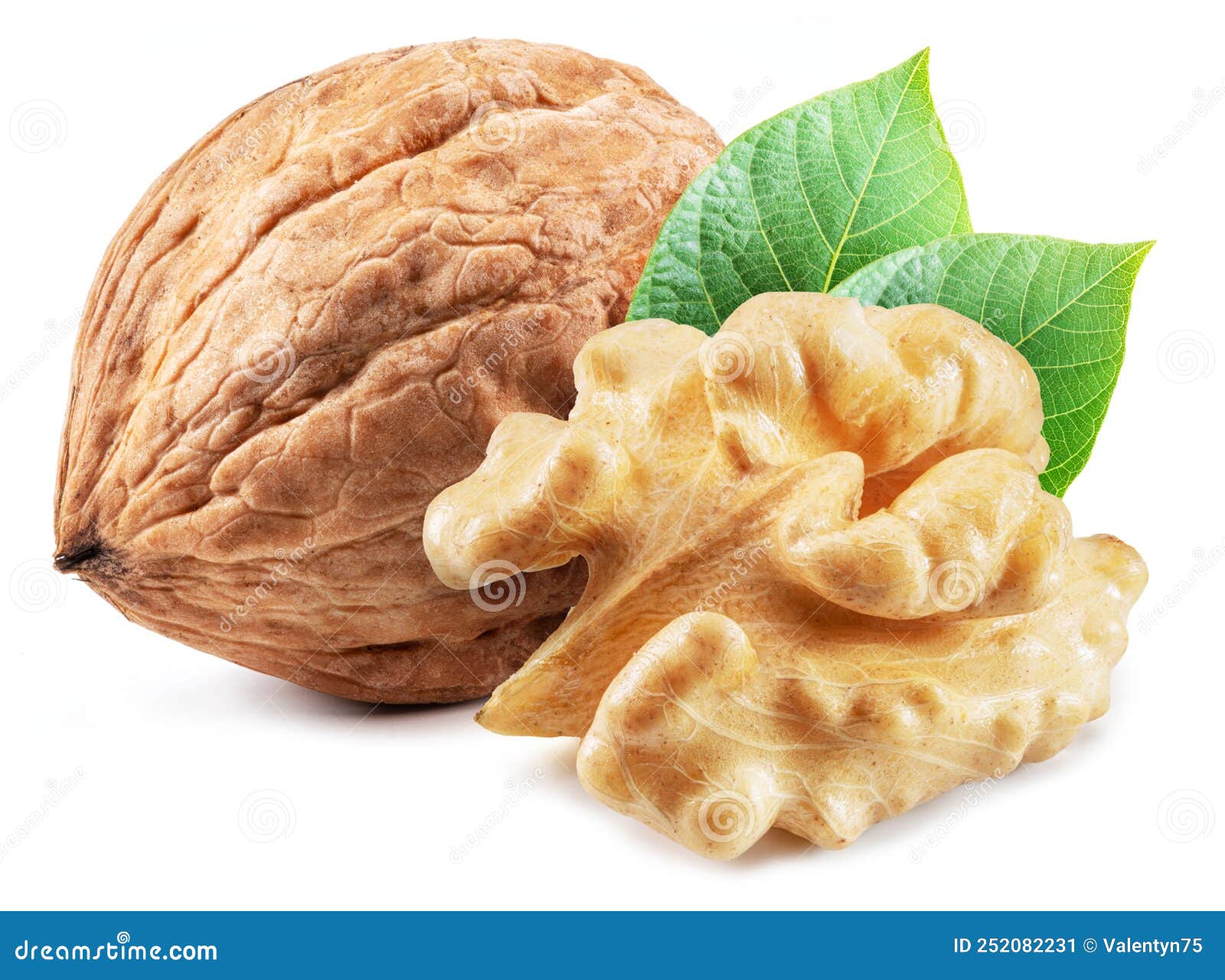 Whole Walnut and Walnut Kernel with Leaves Isolated on White Background ...