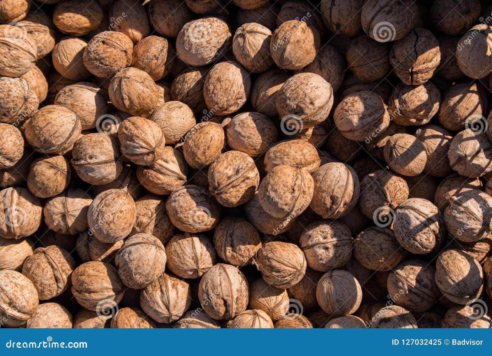 Whole walnuts background stock image. Image of background - 127032425
