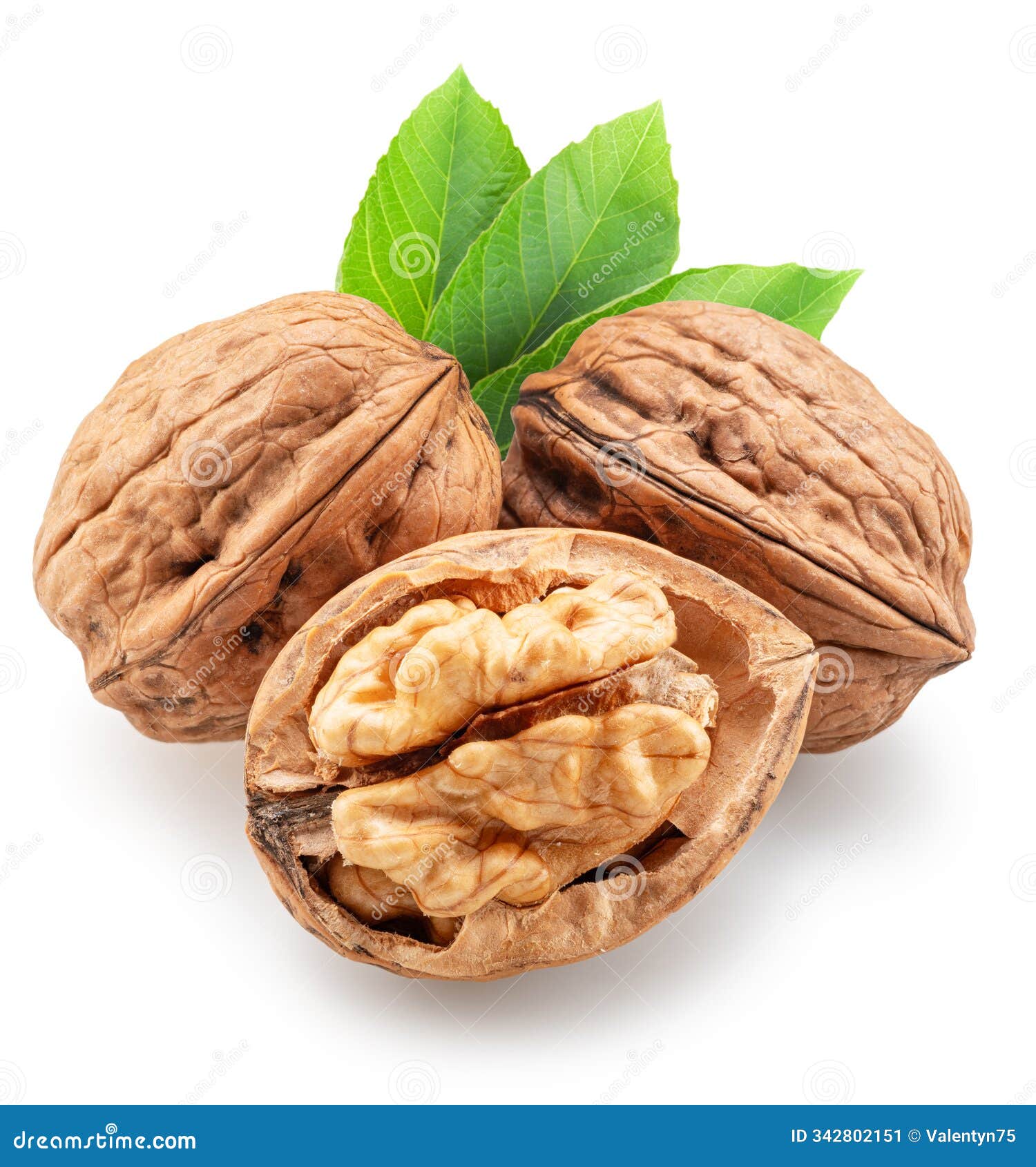 Whole Walnuts, Broken Walnut with Kernel and Green Leaves Isolated on ...