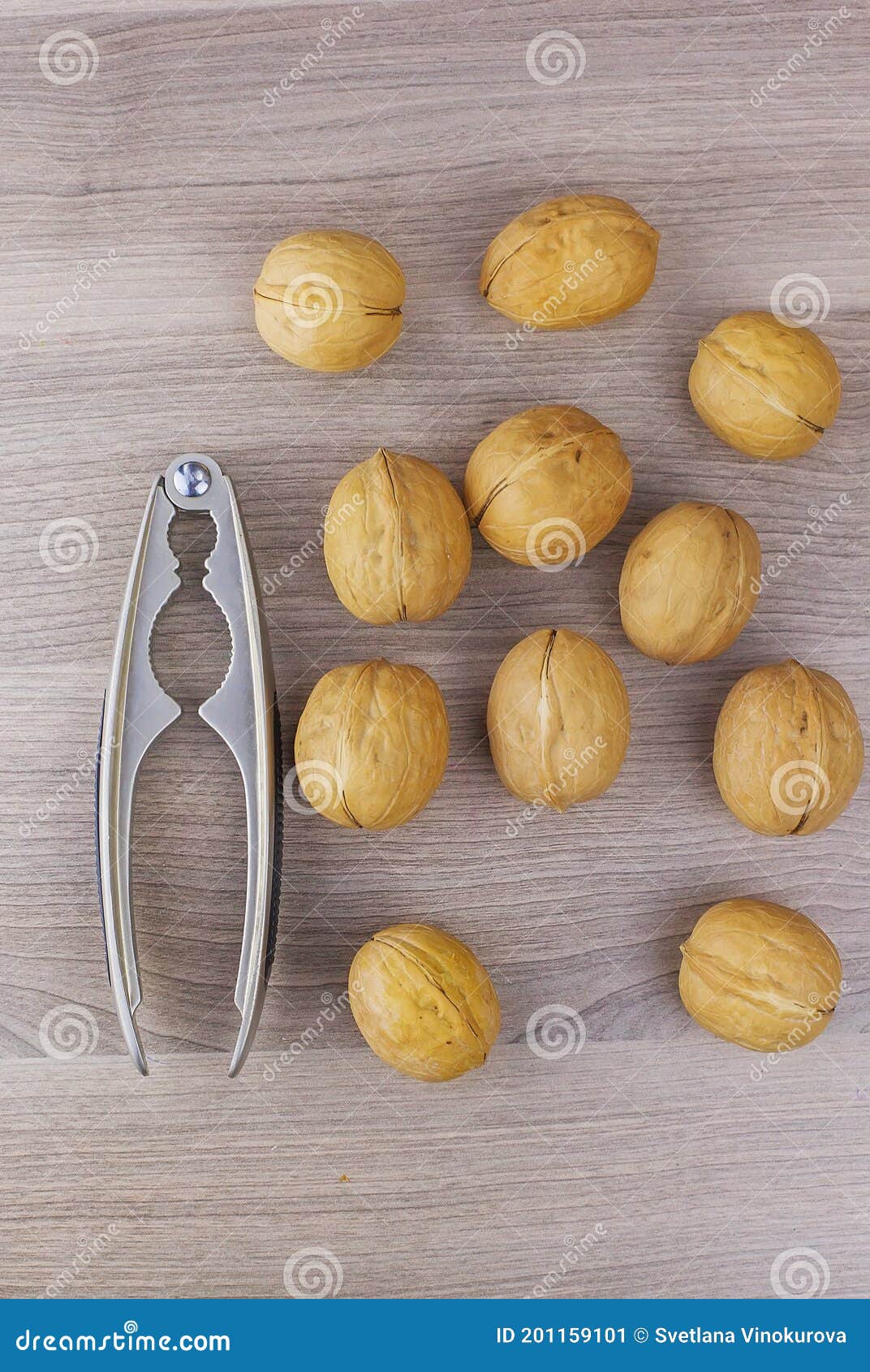 Whole Walnuts in Shell in Bowl, Walnut Kernels. Top View Stock Image ...