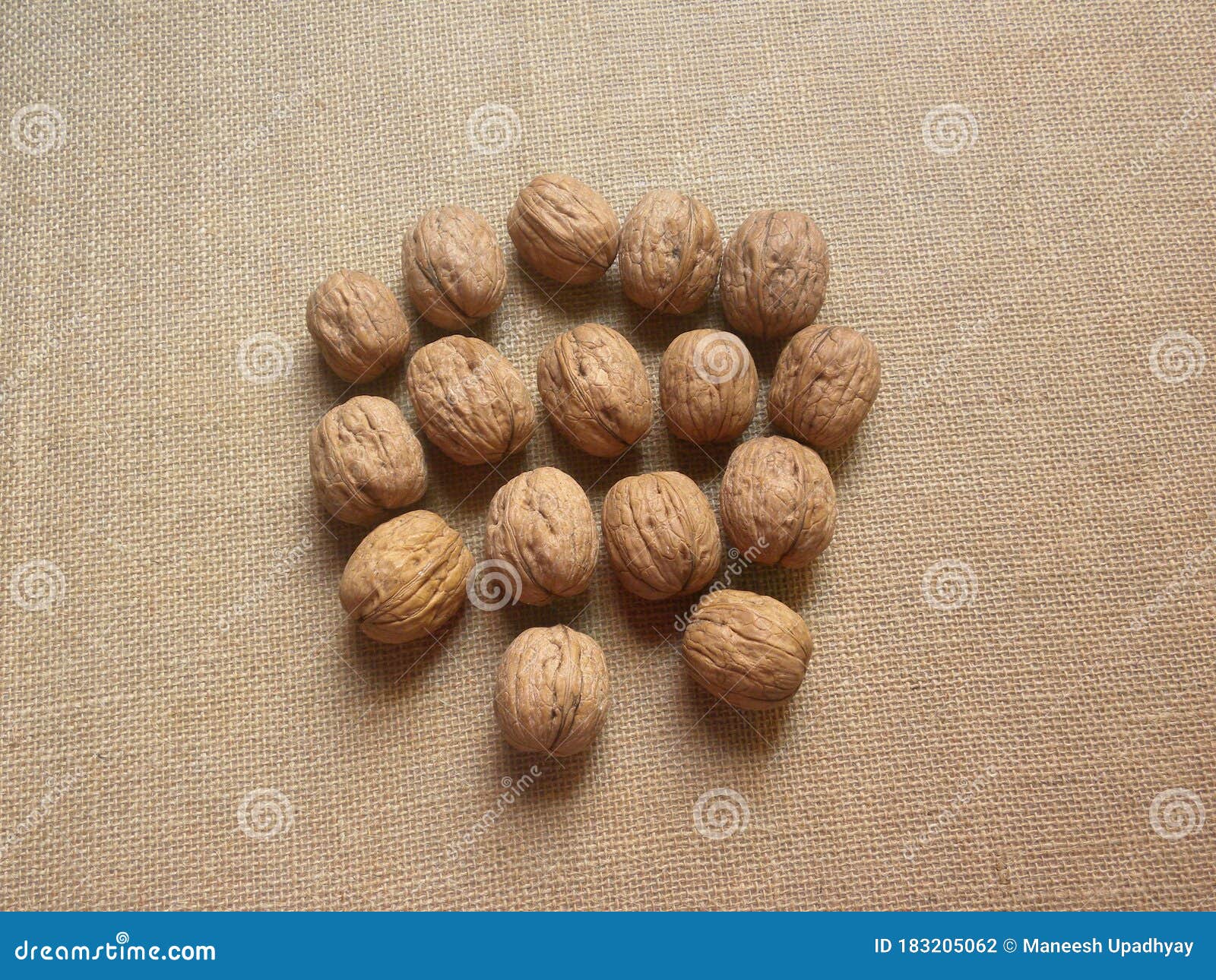 Whole Walnuts in shell stock photo. Image of nutrition - 183205062