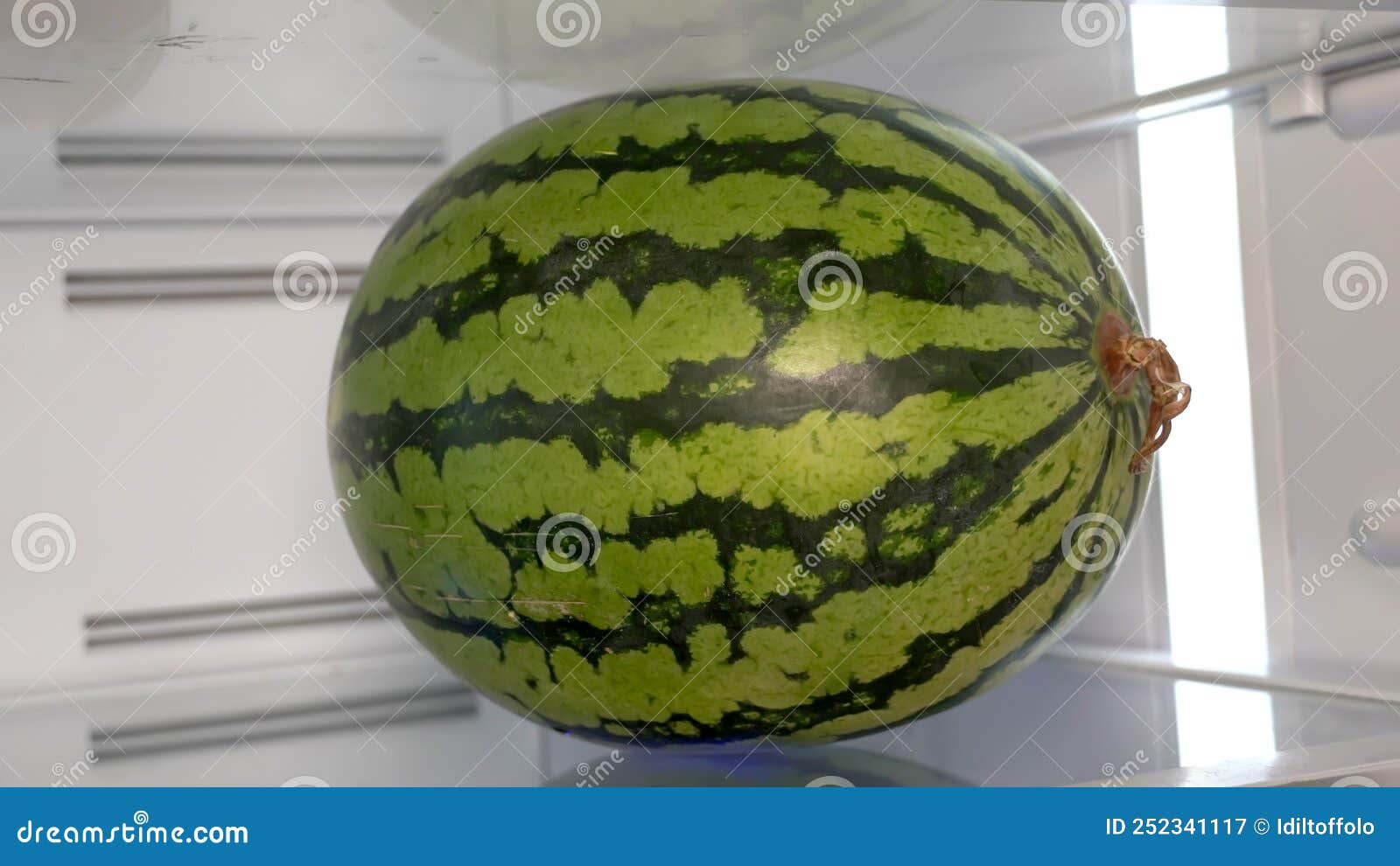 A Whole Watermelon in the Fridge Stock Image - Image of interior ...