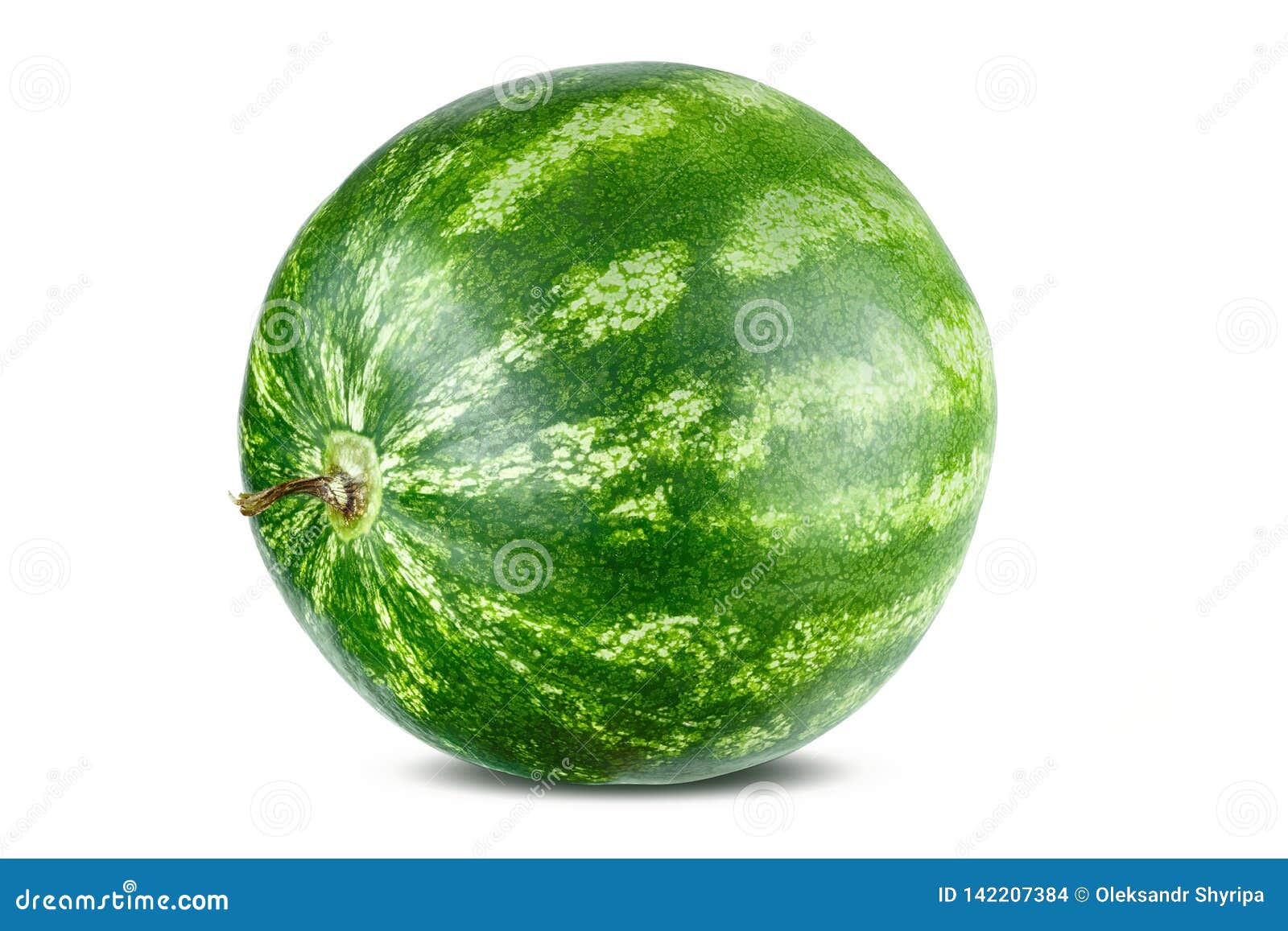 Whole watermelon isolated stock photo. Image of melon - 142207384