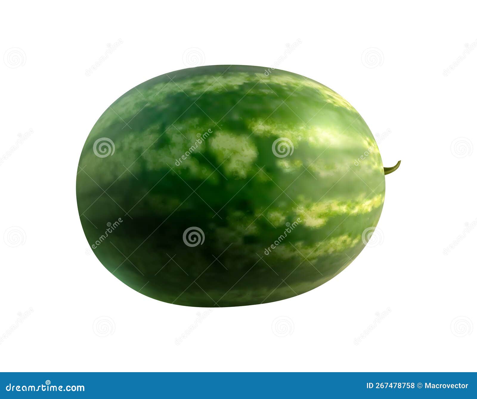 Whole Watermelon Realistic Composition Stock Vector - Illustration of ...