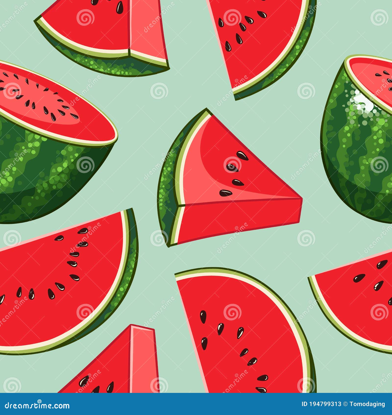 Whole Watermelon with Slices. Hand Drawn Design Stock Vector ...