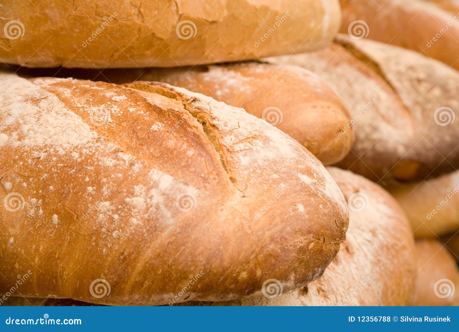 Whole wheat bread stock photo. Image of nutriment, freshness - 12356788