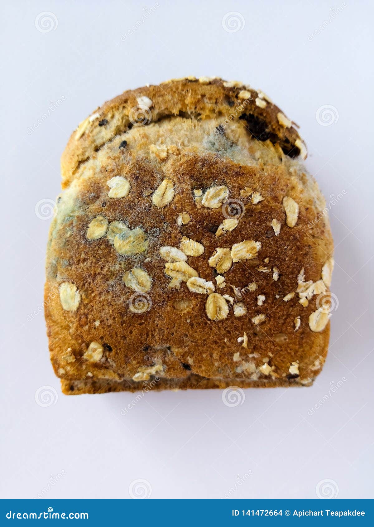 Whole wheat bread is moldy stock photo. Image of spore - 141472664