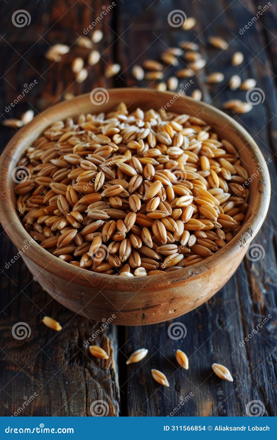 Whole Wheat in a Plate. Wheat Grains are Ready To Be Ground Stock Photo ...