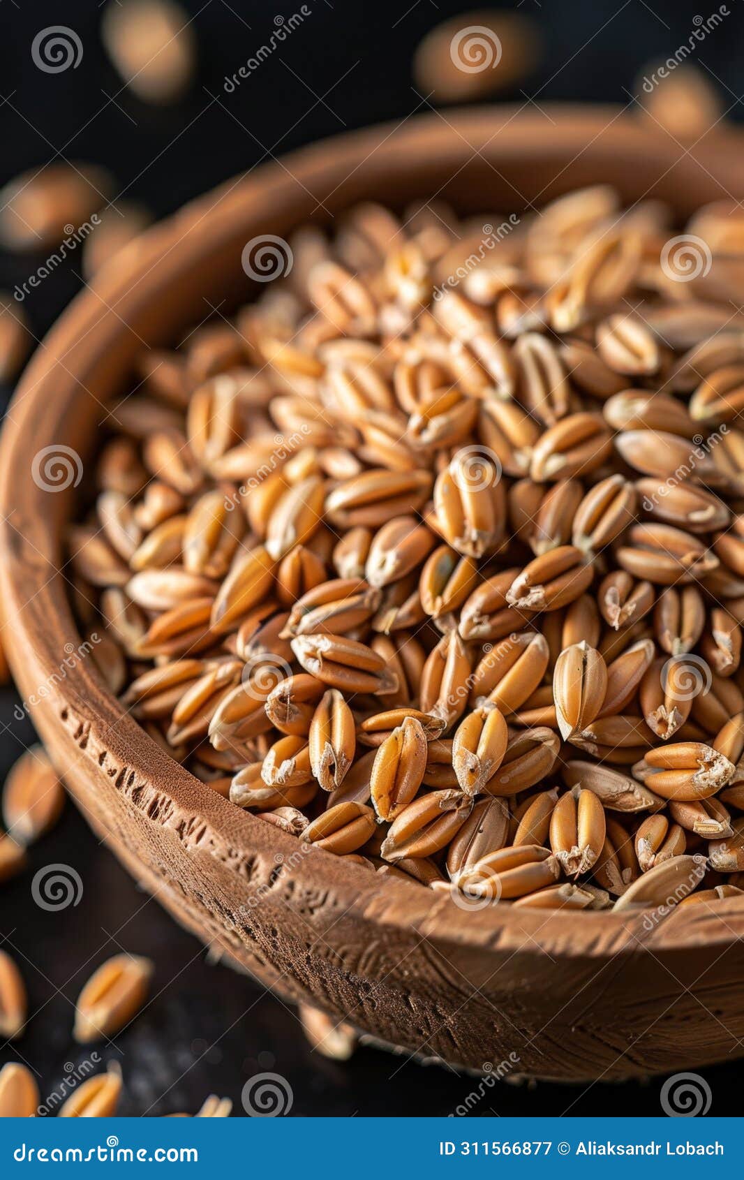 Whole Wheat in a Plate. Wheat Grains are Ready To Be Ground Stock Image ...