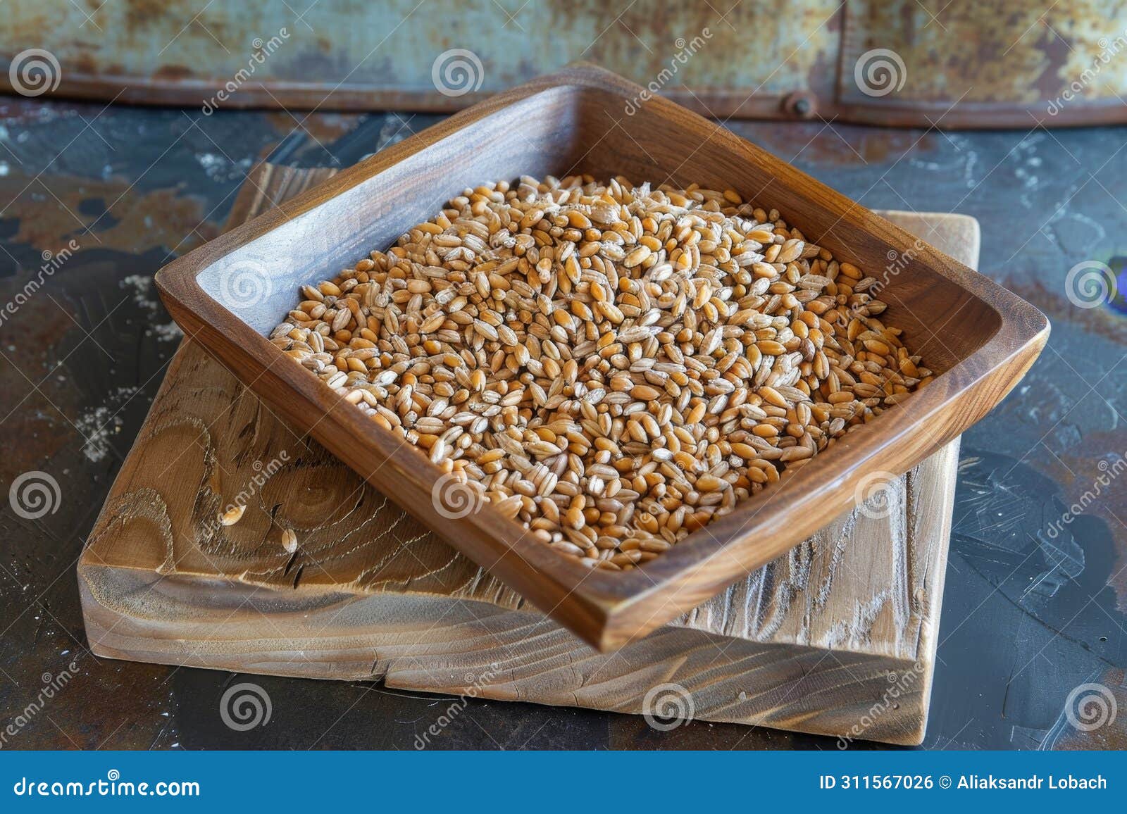 Whole Wheat in a Plate. Wheat Grains are Ready To Be Ground Stock Photo ...
