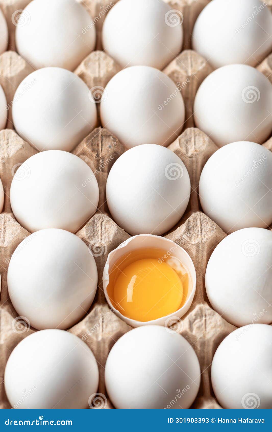 Whole White Eggs on Egg Tray Close Up. Set of Healthy Broiler Eggs Stock Image - Image of ...