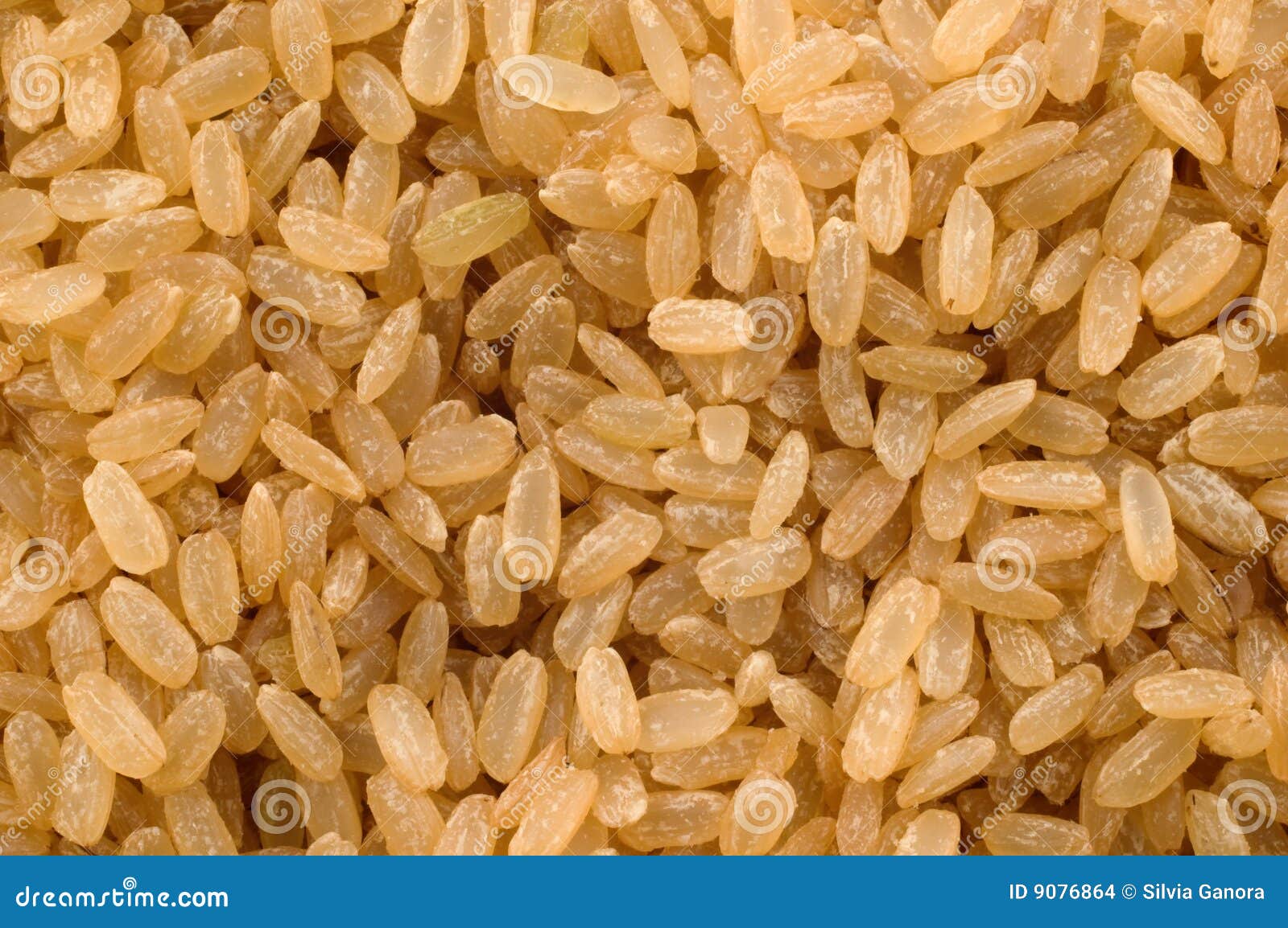 Wholegrain rice stock photo. Image of grains, texture - 9076864