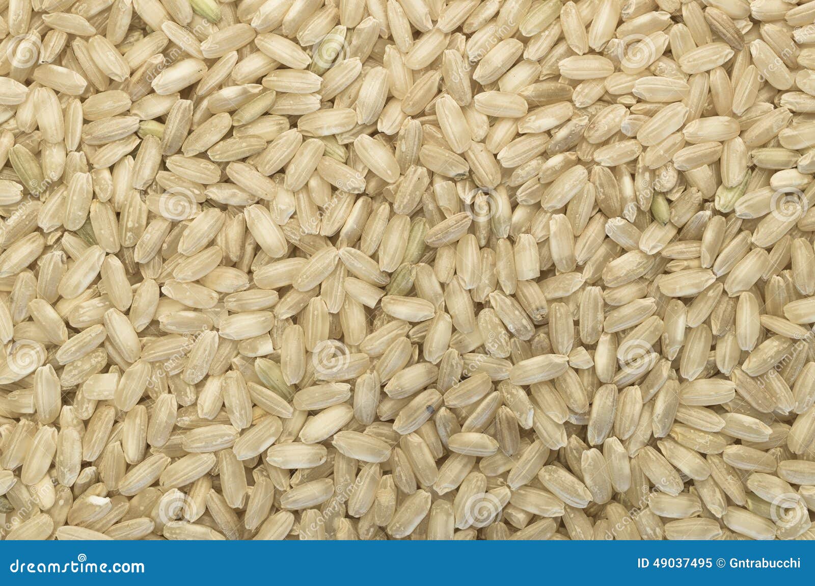 Wholemeal rice grains stock image. Image of grass, ecologic - 49037495