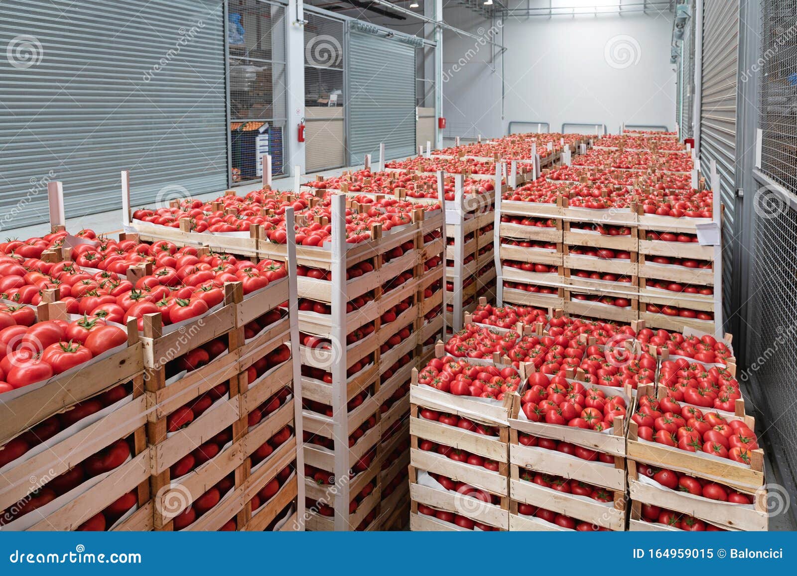 Wholesale Tomato stock image. Image of produce, tomato - 164959015