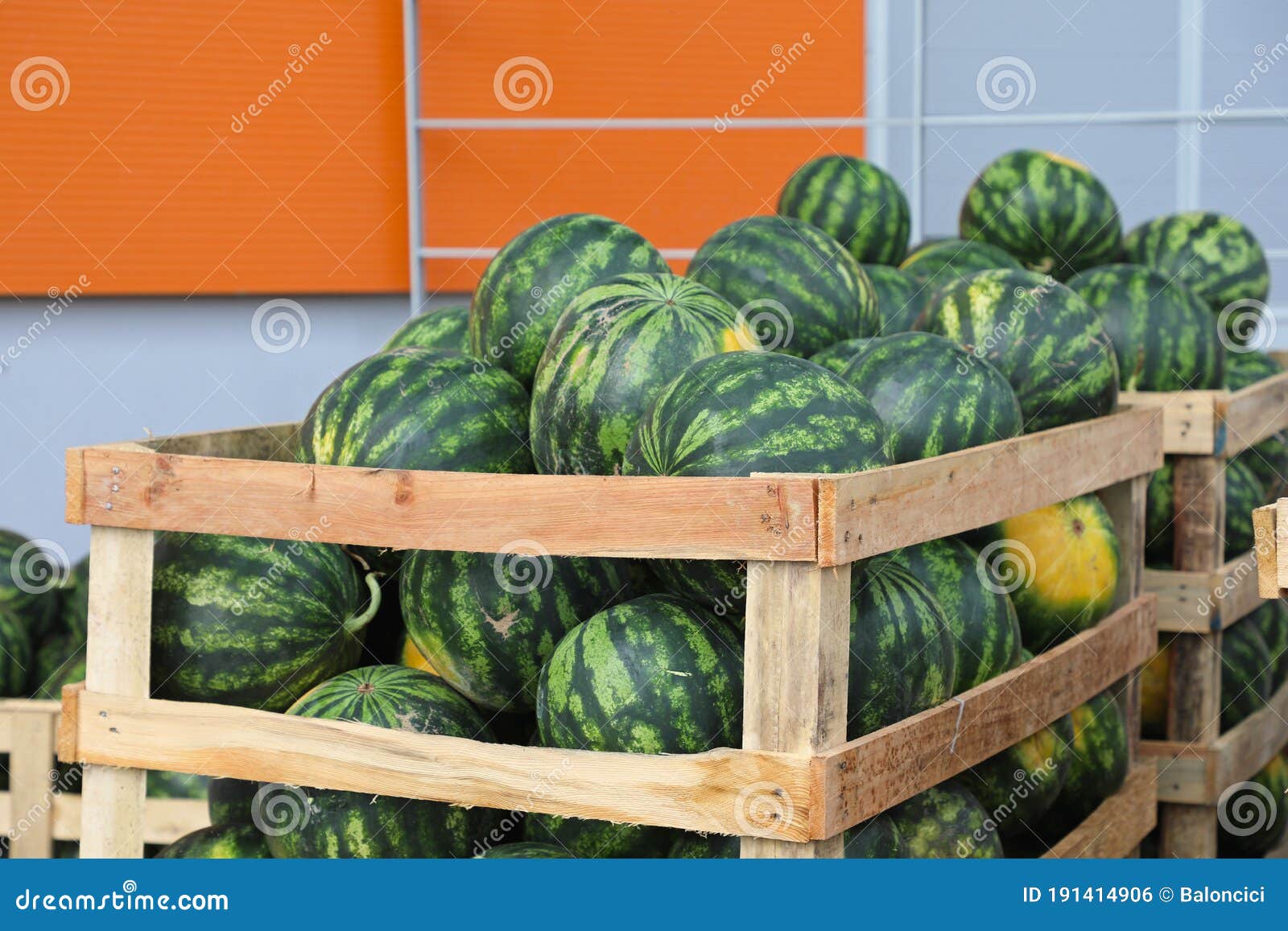 Wholesale Watermelons stock photo. Image of fruits, large - 191414906
