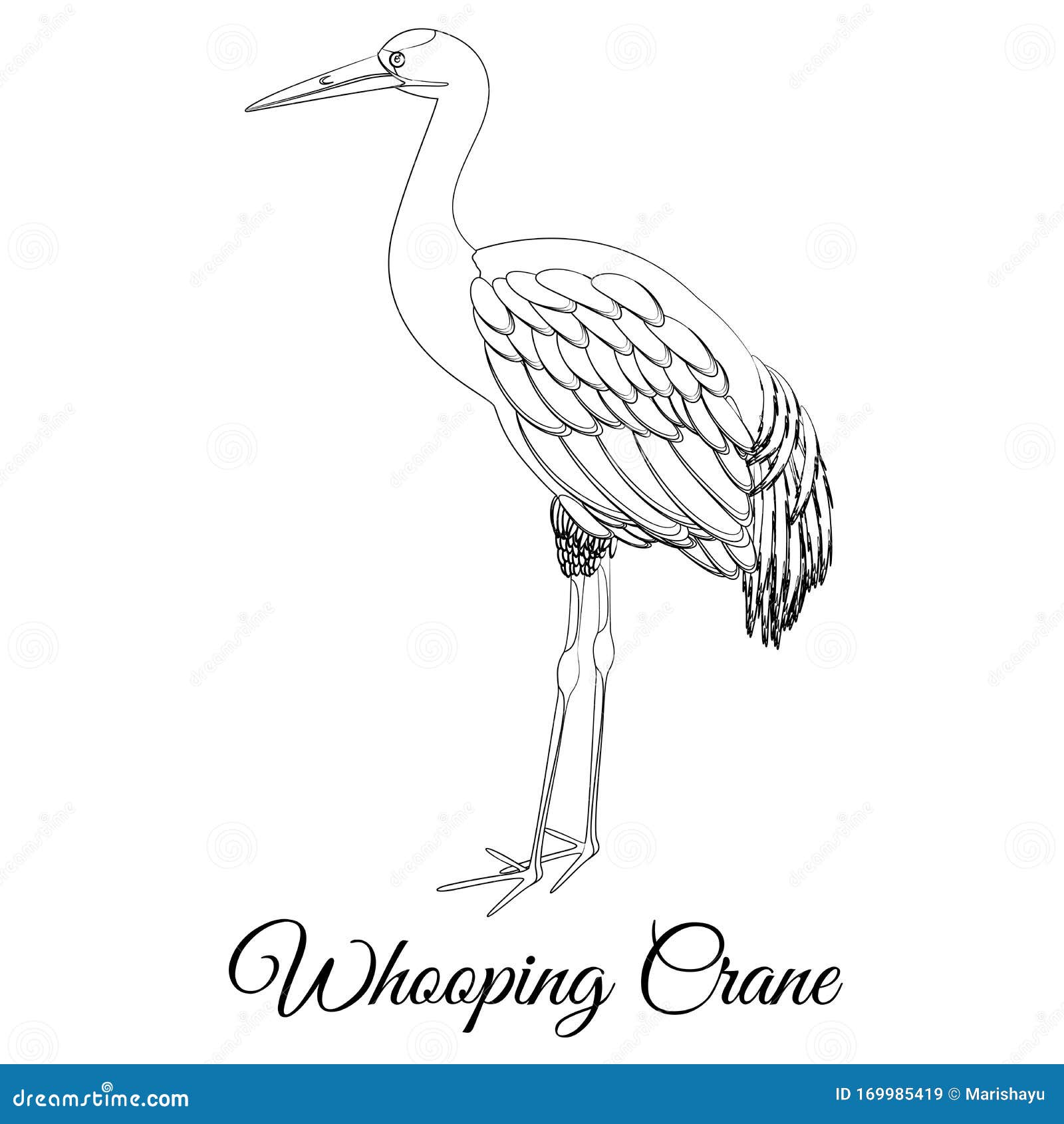 Whooping Cartoons, Illustrations & Vector Stock Images - 630 Pictures ...