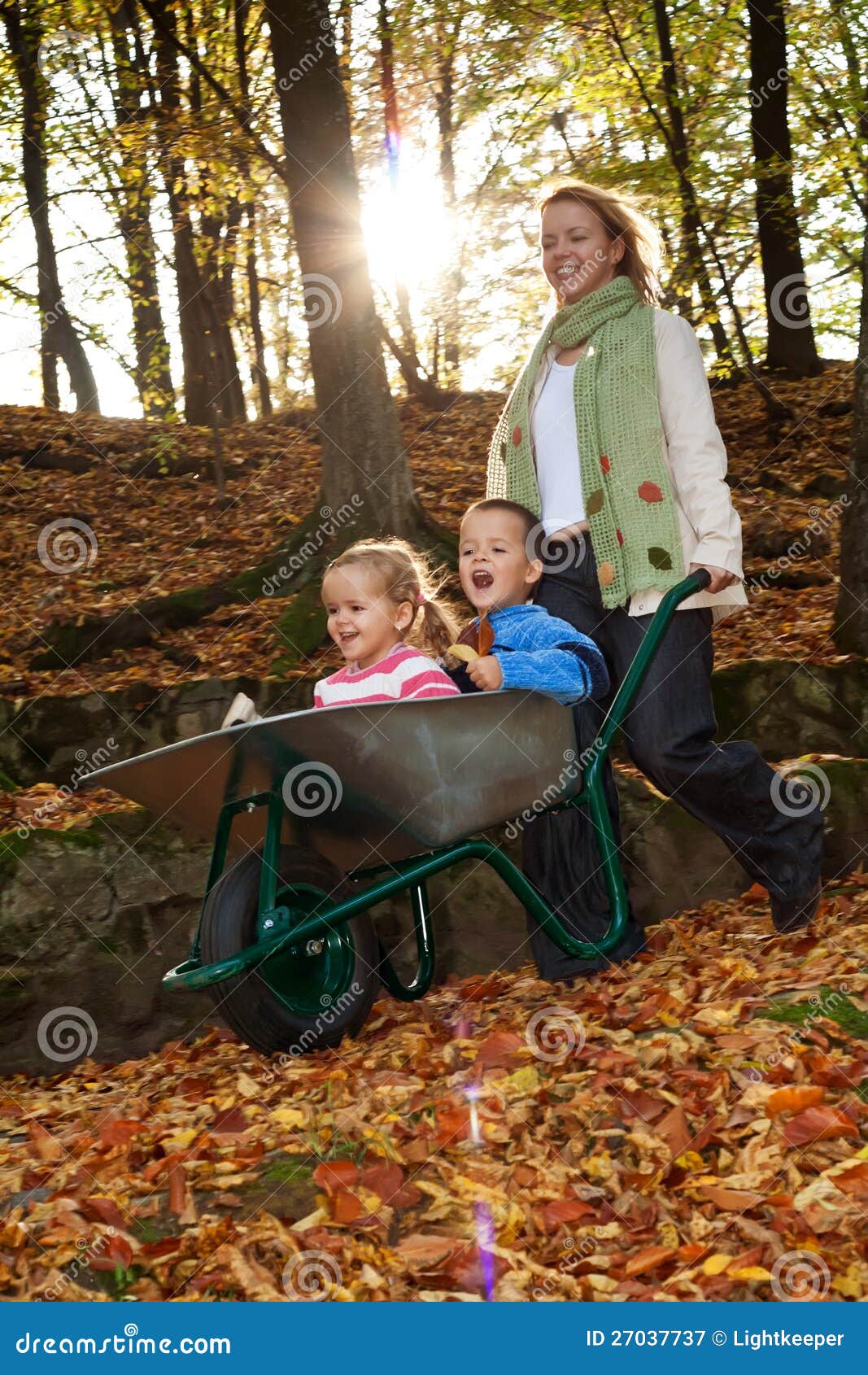 Whooshing through autumn stock image. Image of brown - 27037737