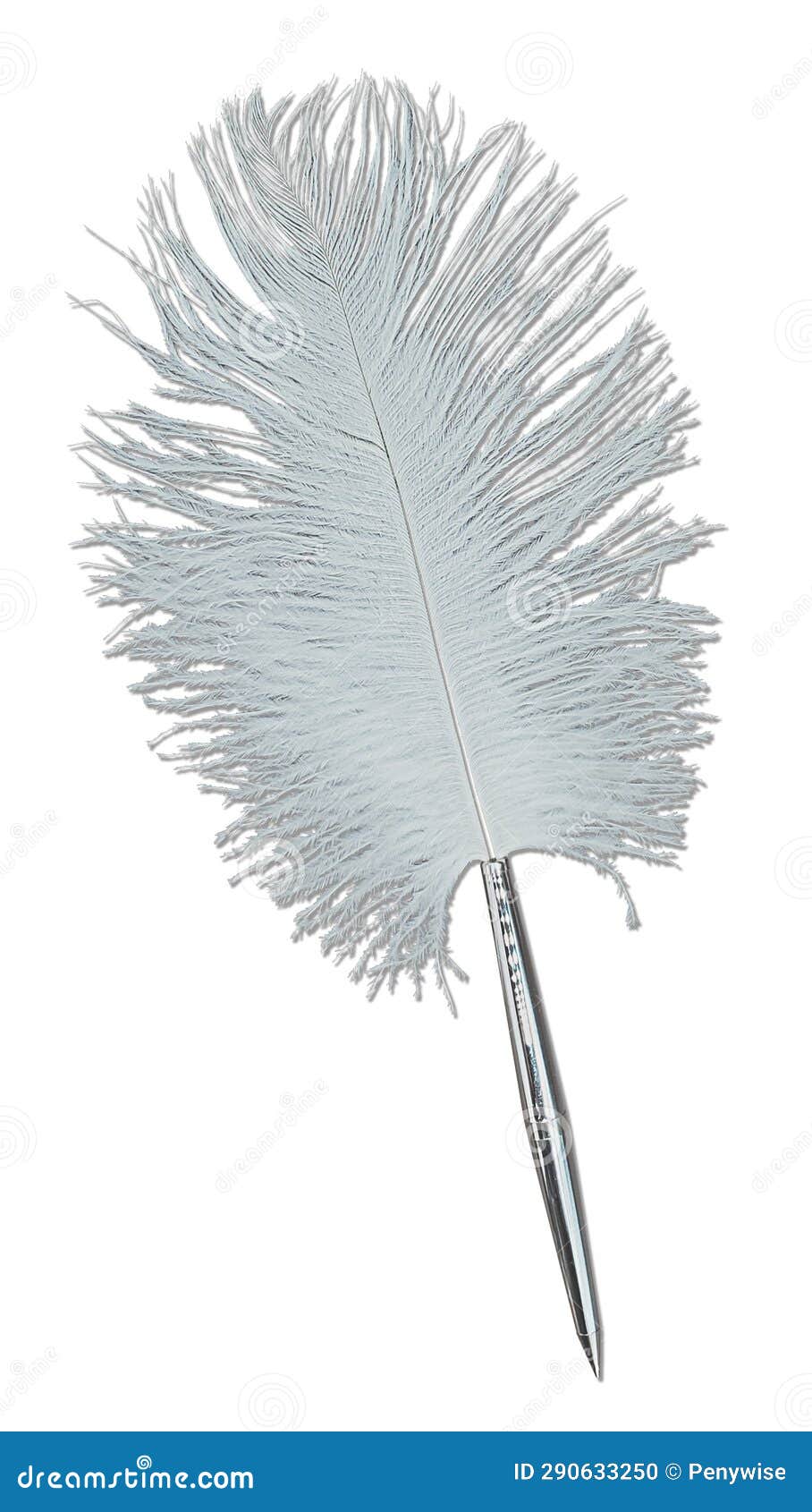 Feather quill stock photo. Image of fluff, plume, antique - 290633250