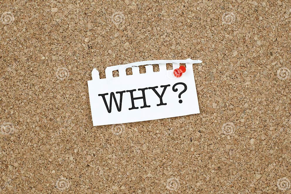 Why stock image. Image of note, reason, asking, text - 49265227