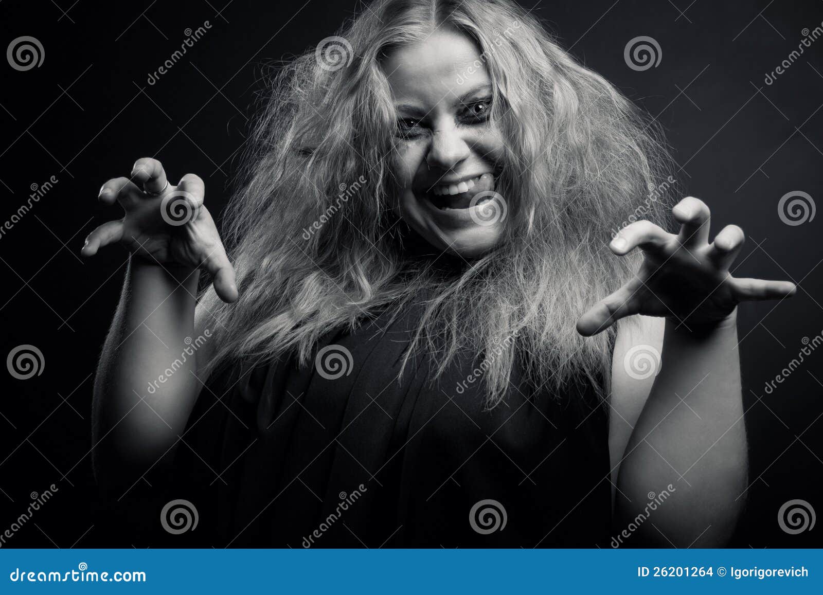 Wicked witch stock photo. Image of sorceress, holiday - 26201264