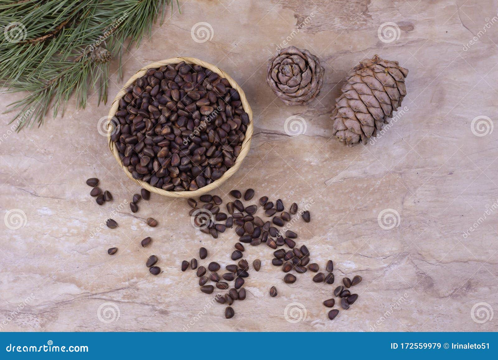 Wicker Basket Made of Birch Bark with Pine Nuts and Cones. Healthy ...