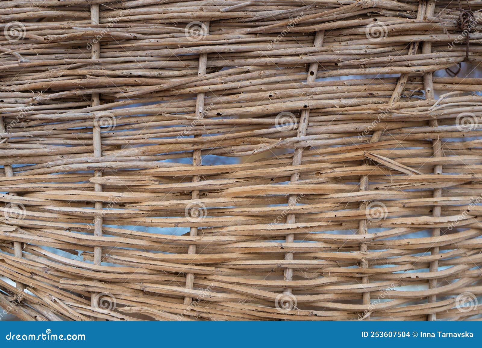 Wicker Branches of a Willow Tree Texture. Close Up of Brown Fence Made ...