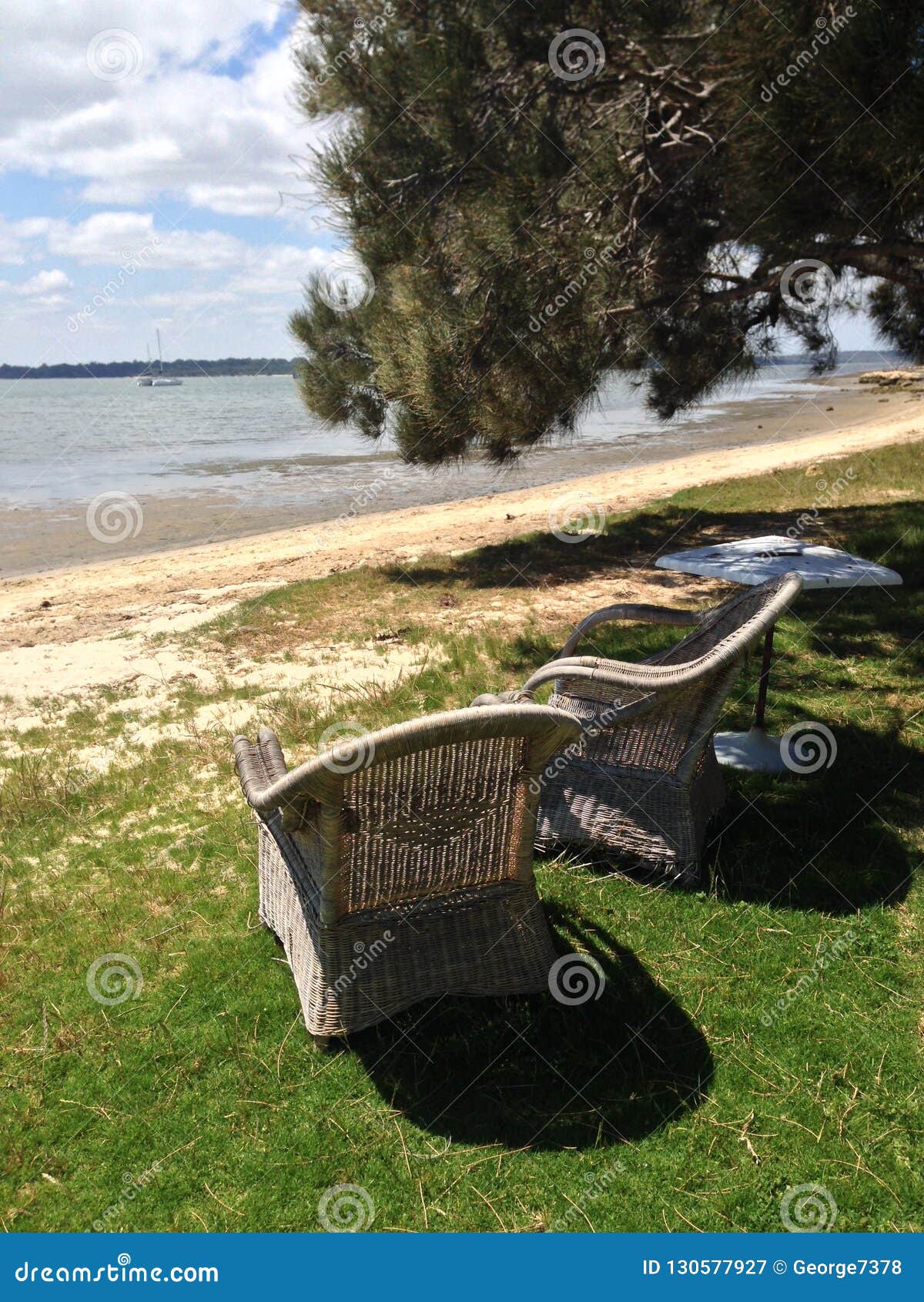 Wicker Chairs Under Tree in Front of Beach Stock Image - Image of ...