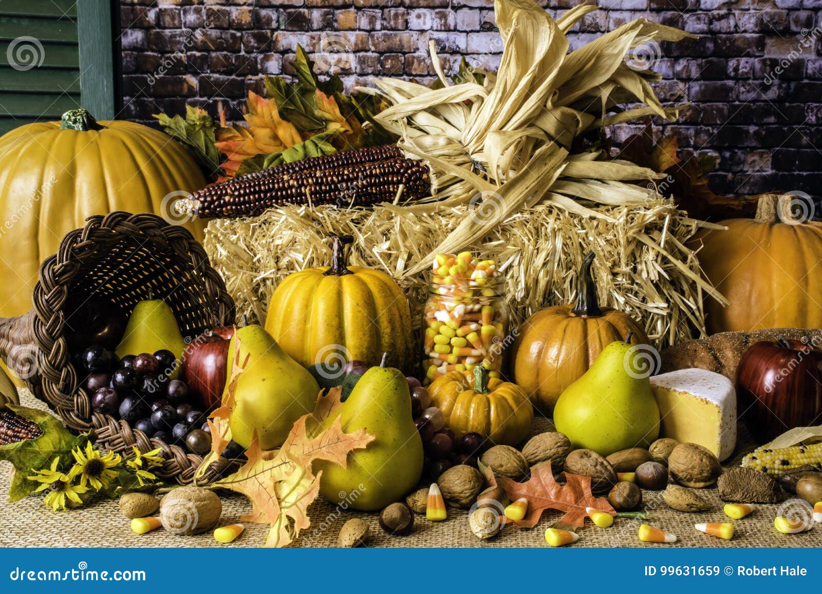 Cornucopia stock image. Image of arts, green, cornucopia - 99631659