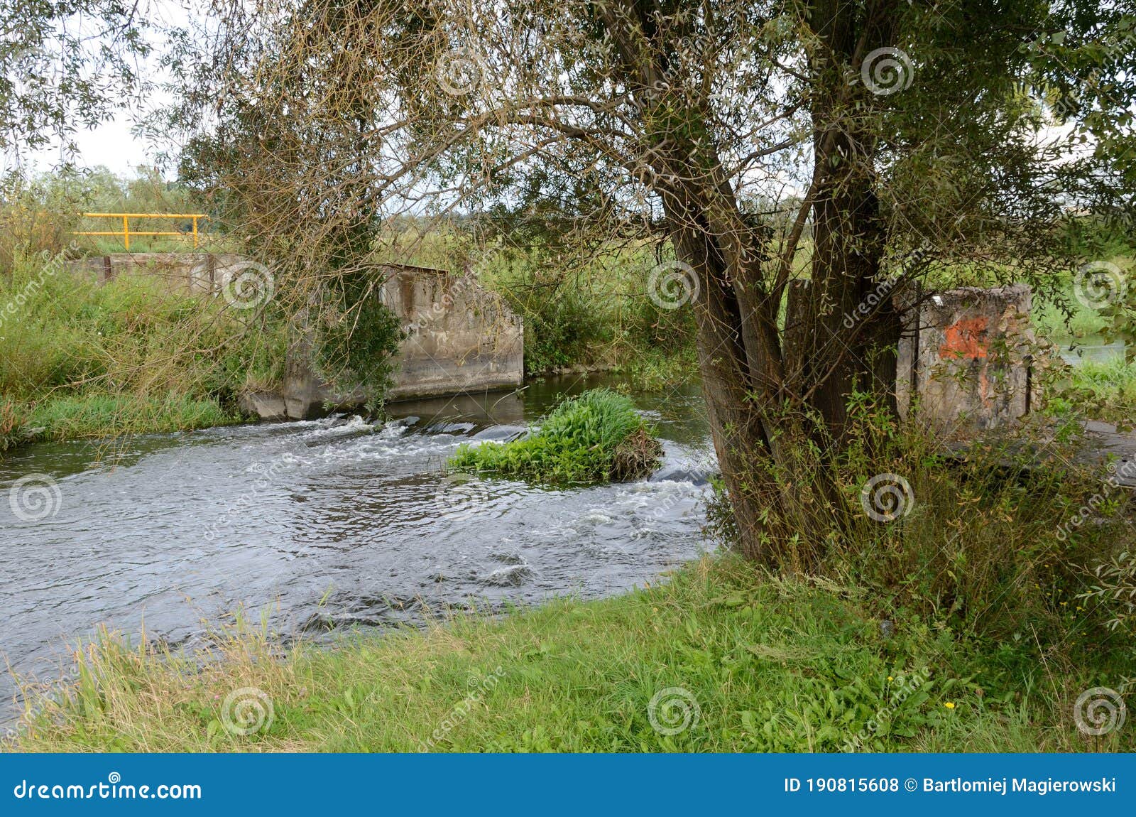 Widawa River in Poland, Wroclaw Area Stock Photo - Image of trees ...