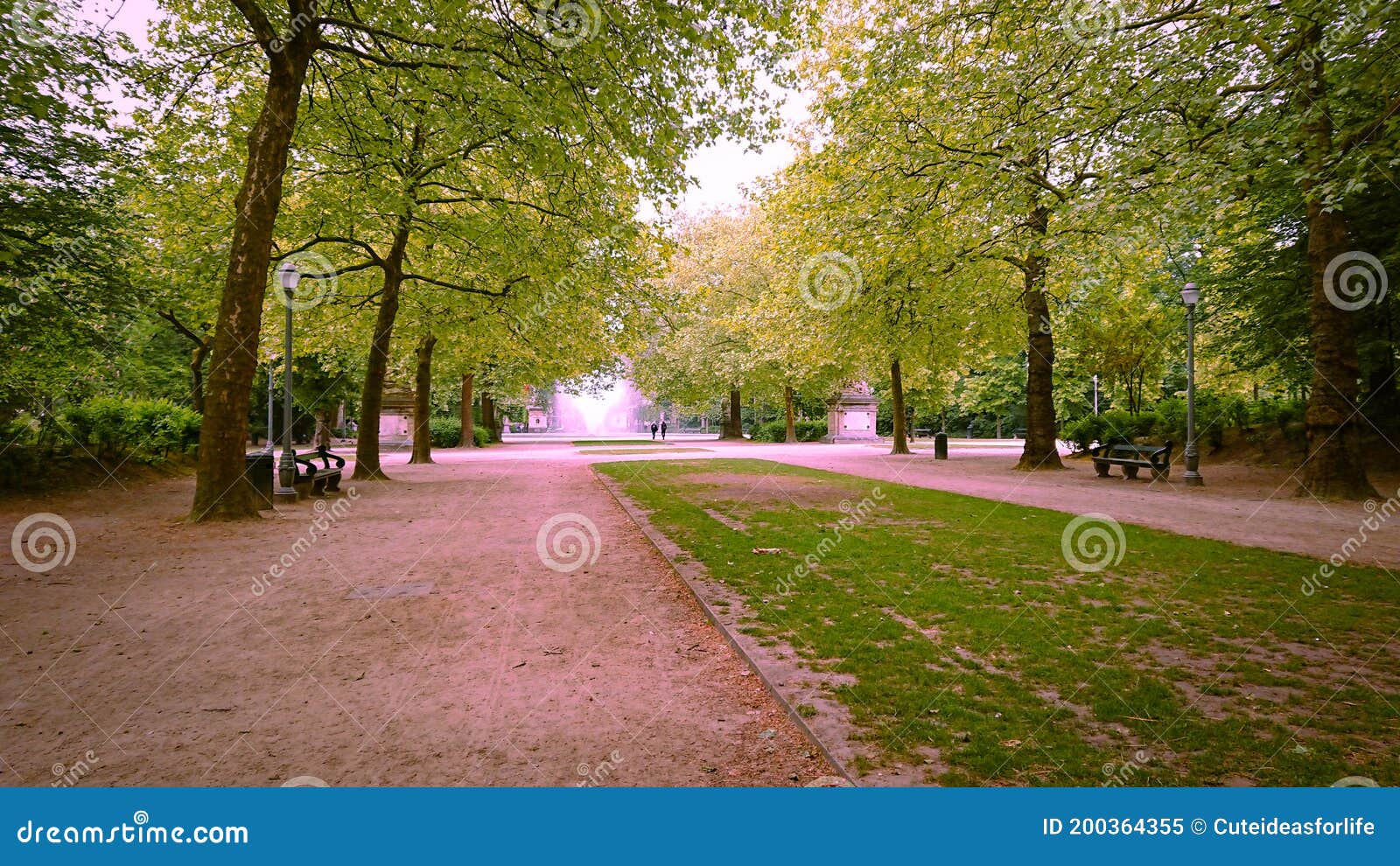 Wide Alley in a Beautiful Spring Park Stock Image - Image of leaf ...